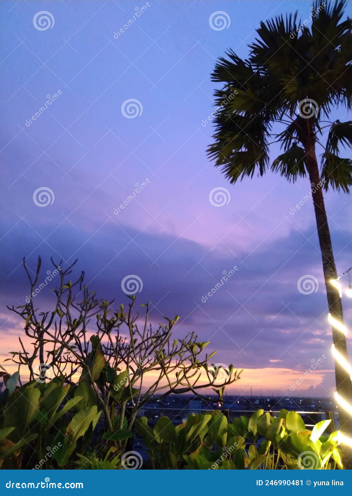 Tarde bajo el cielo morado imagen de archivo. Imagen de horizonte ...