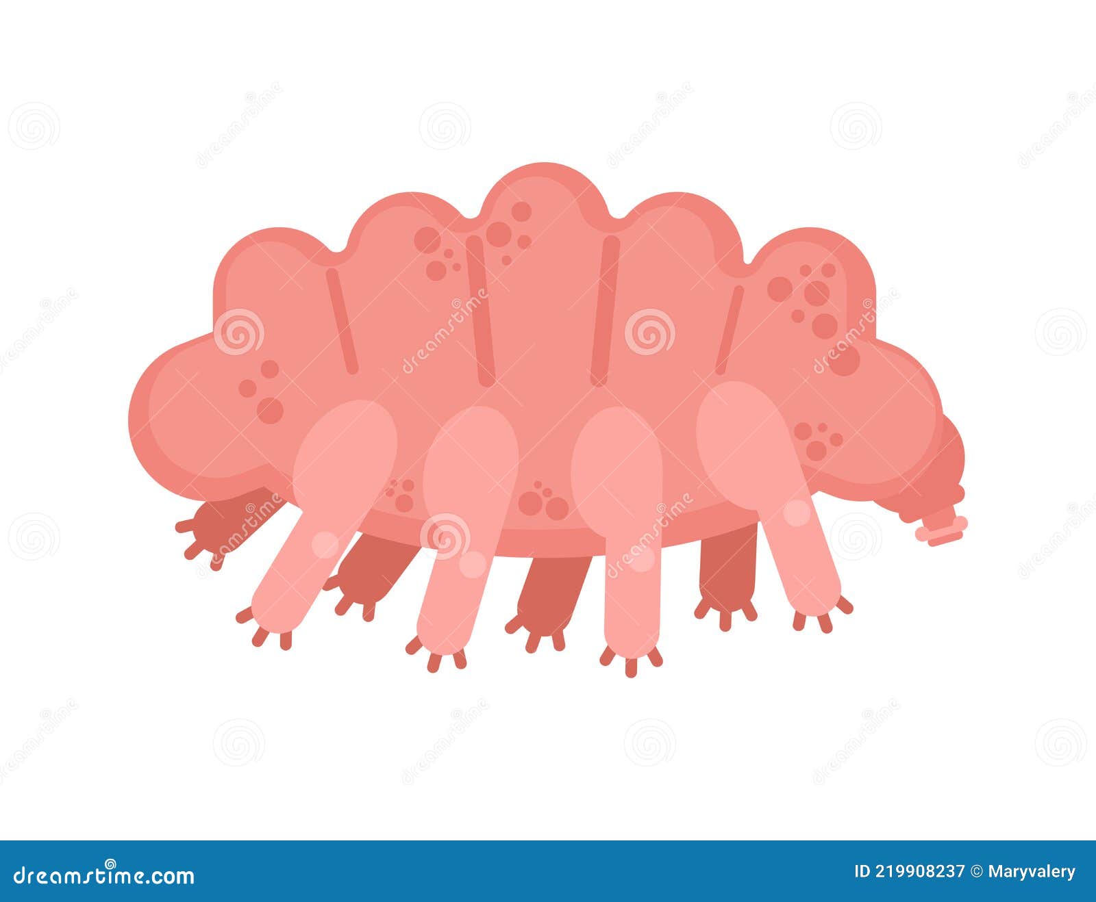 Tardigrada Cartoons, Illustrations & Vector Stock Images - 172 Pictures ...