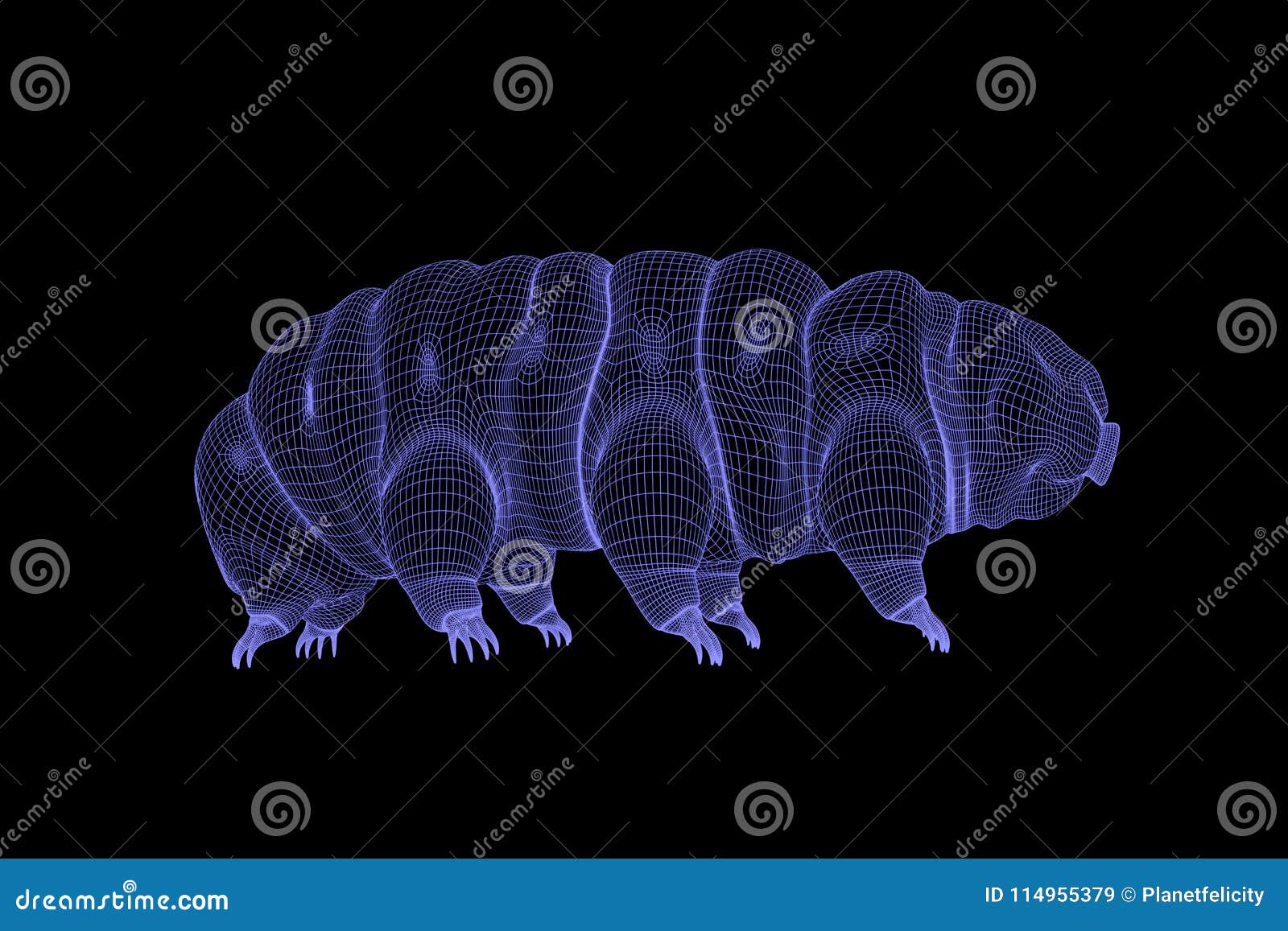 Tardigrade Stock Illustrations – 30 Tardigrade Stock Illustrations ...