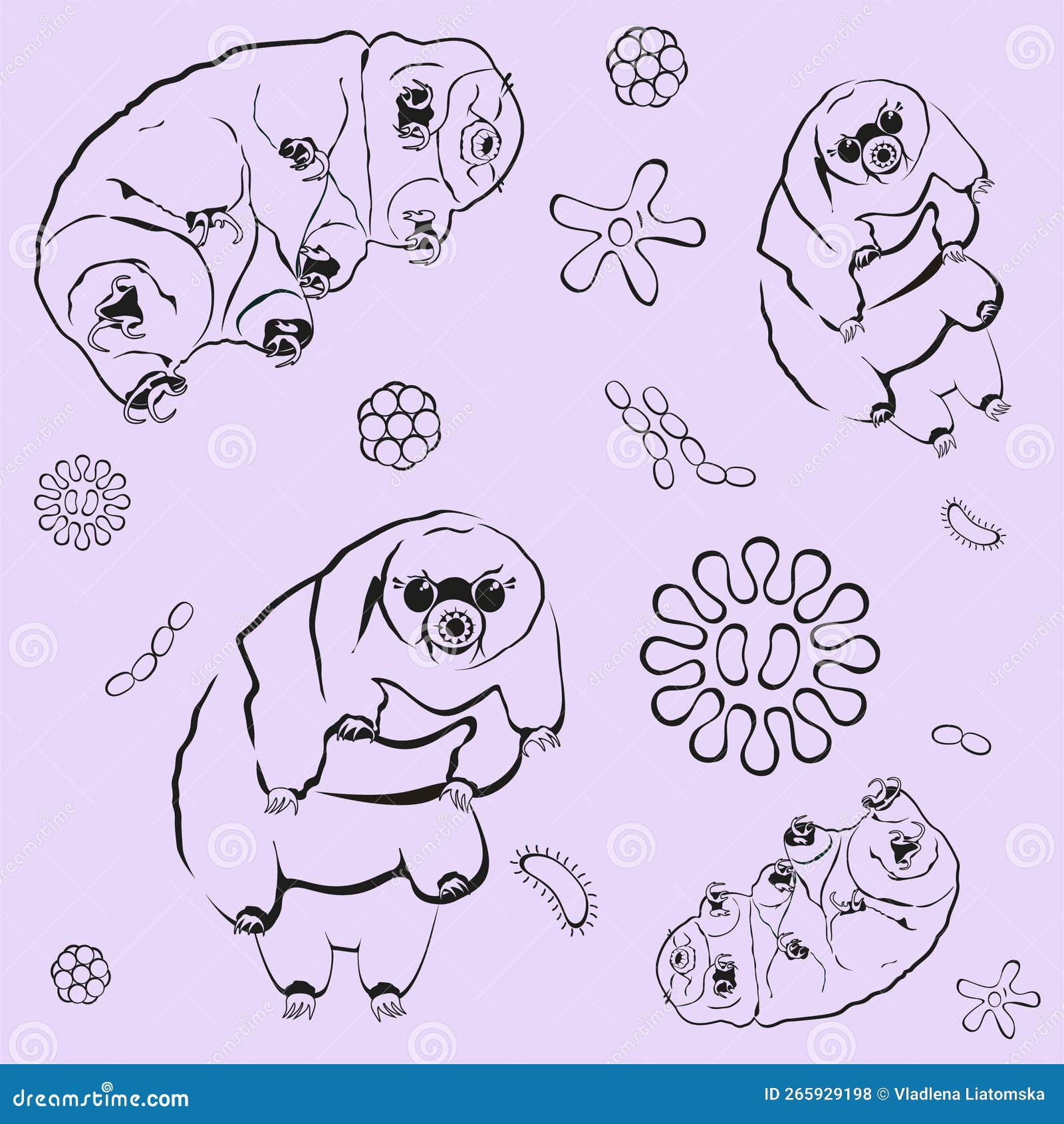 Tardigrades Water Bears Micro Biology Royalty-Free Illustration ...