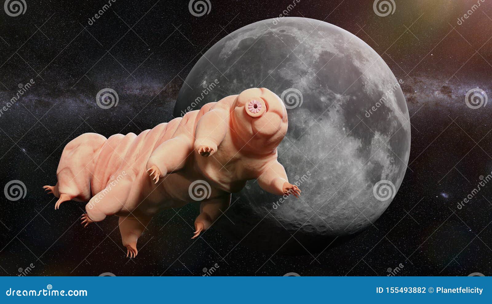 Tardigrade, Water Bear Visiting the Moon Stock Illustration ...