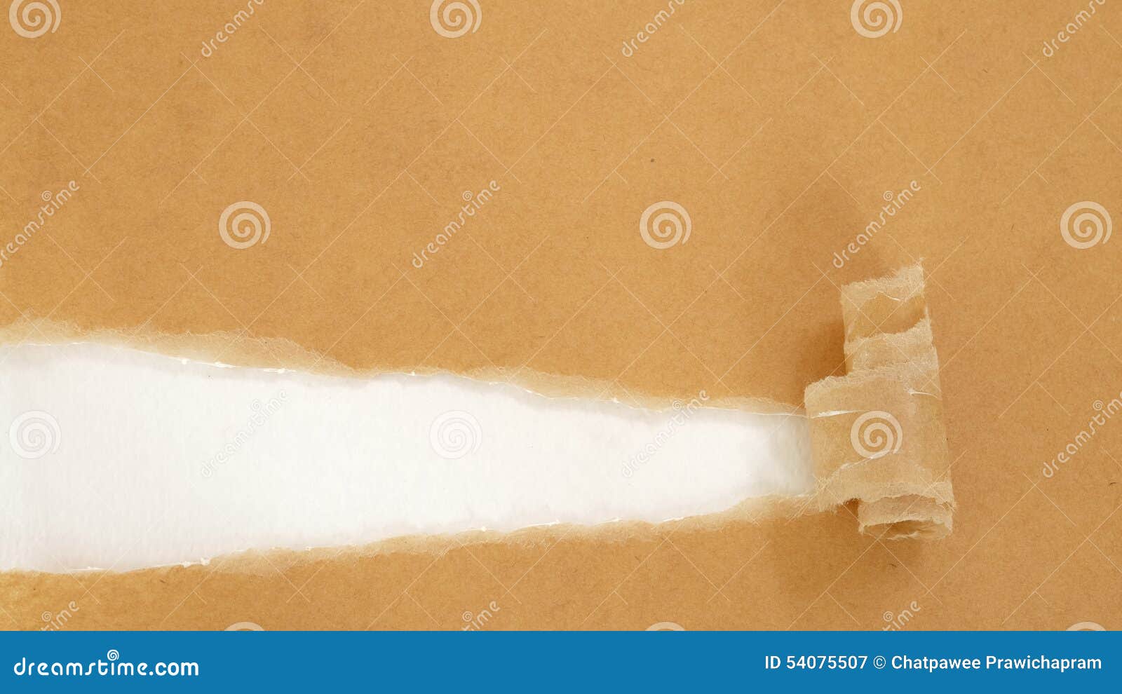 Tare brow paper stock image. Image of texture, blank - 54075507