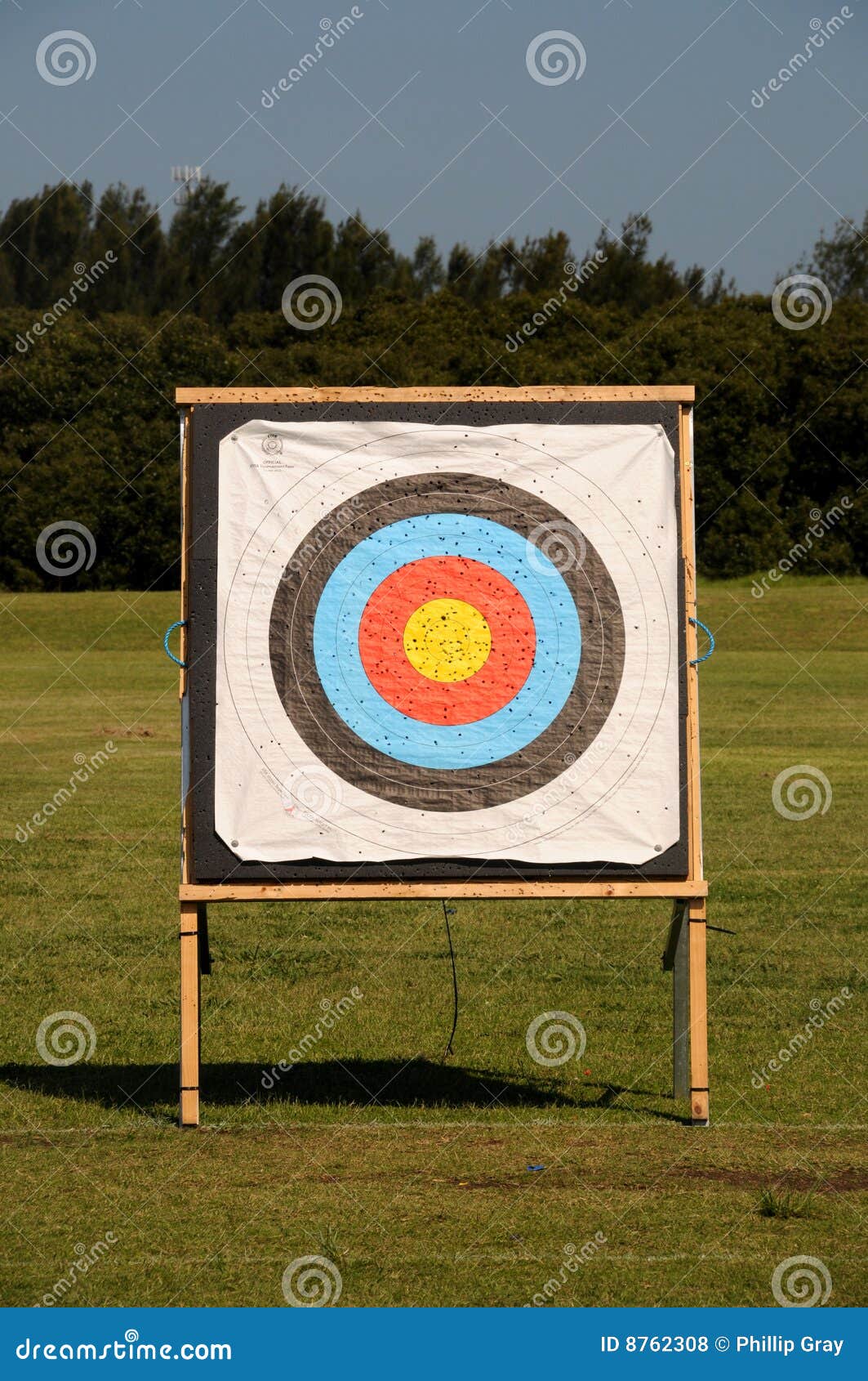 Target stock photo. Image of field, board, bull, arrow - 8762308