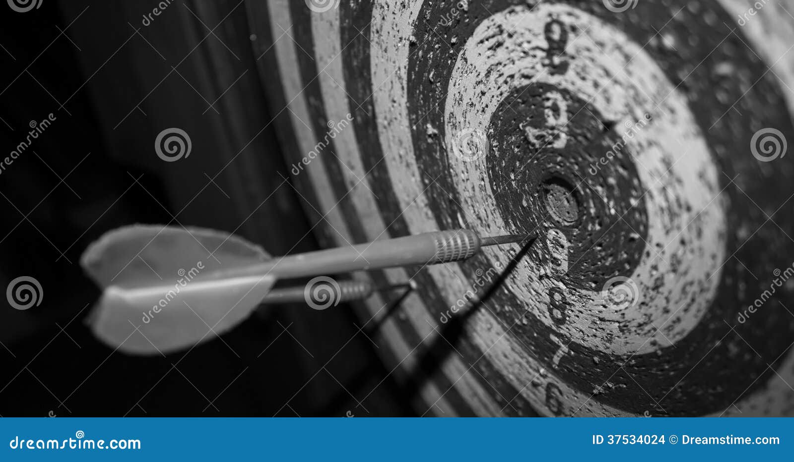 Target with arrows stock photo. Image of business, bullseye - 37534024