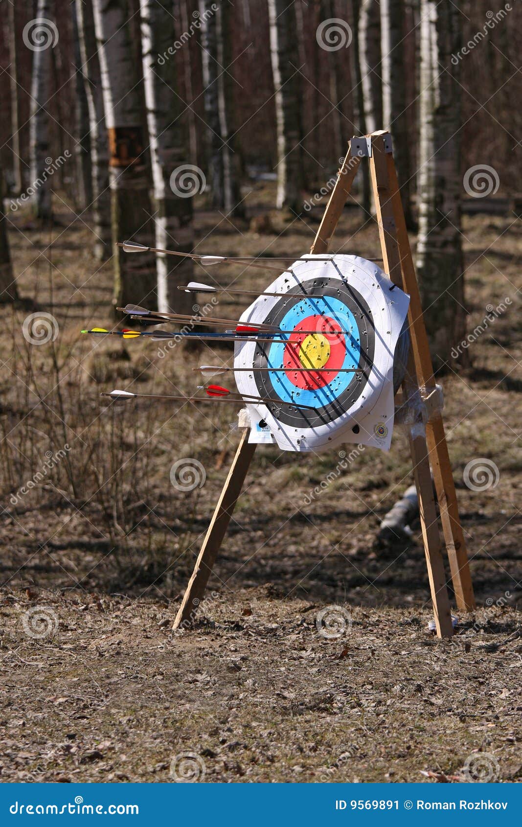 Target with arrows stock image. Image of circle, compete - 9569891