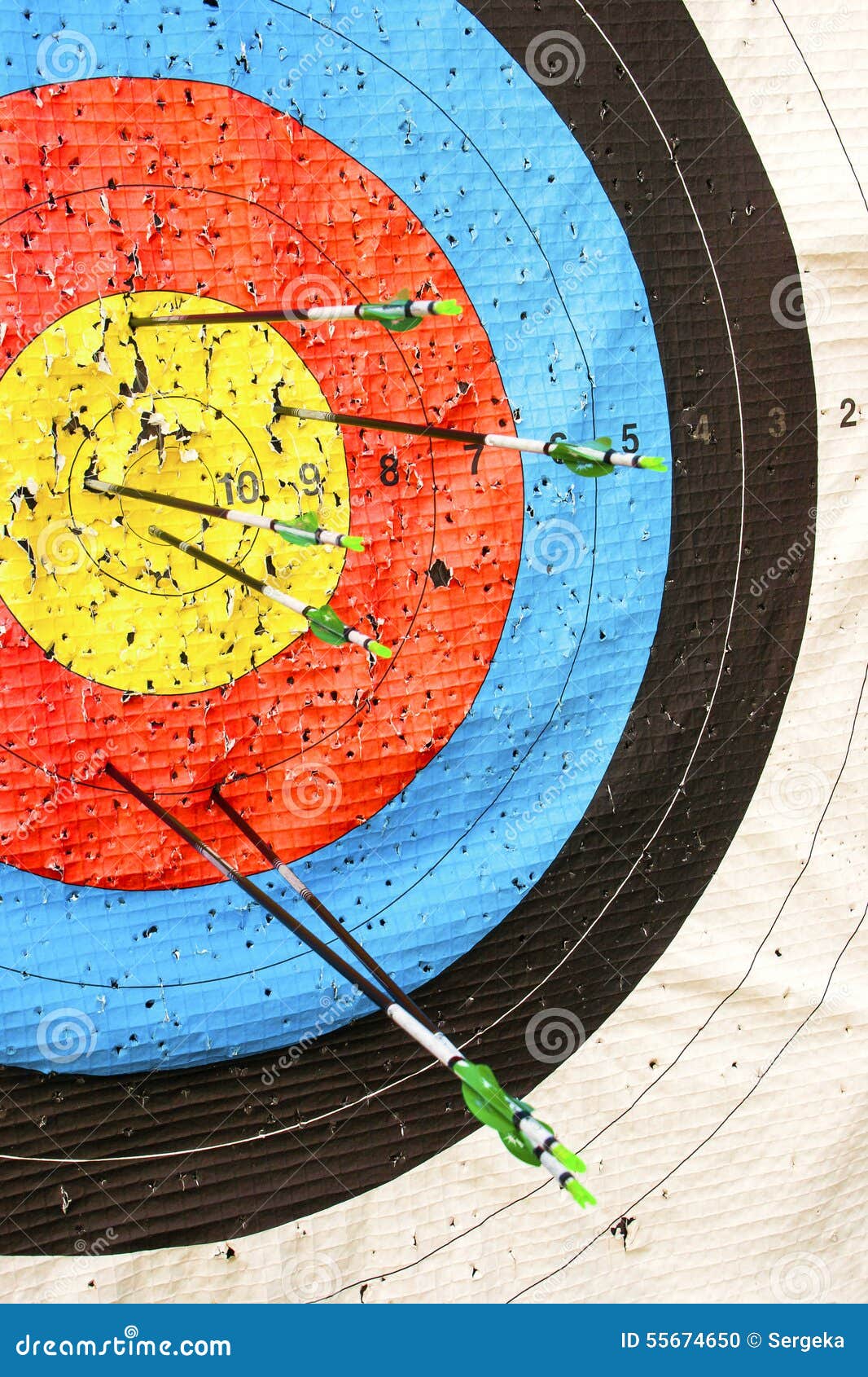 Target and arrows stock photo. Image of arrows, vertical - 55674650