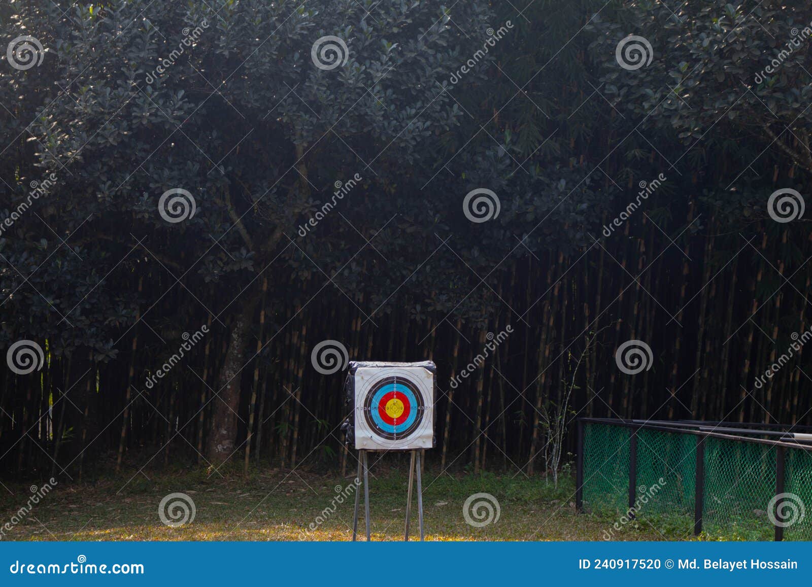 Target Board with Forest Background Stock Photo - Image of practice ...