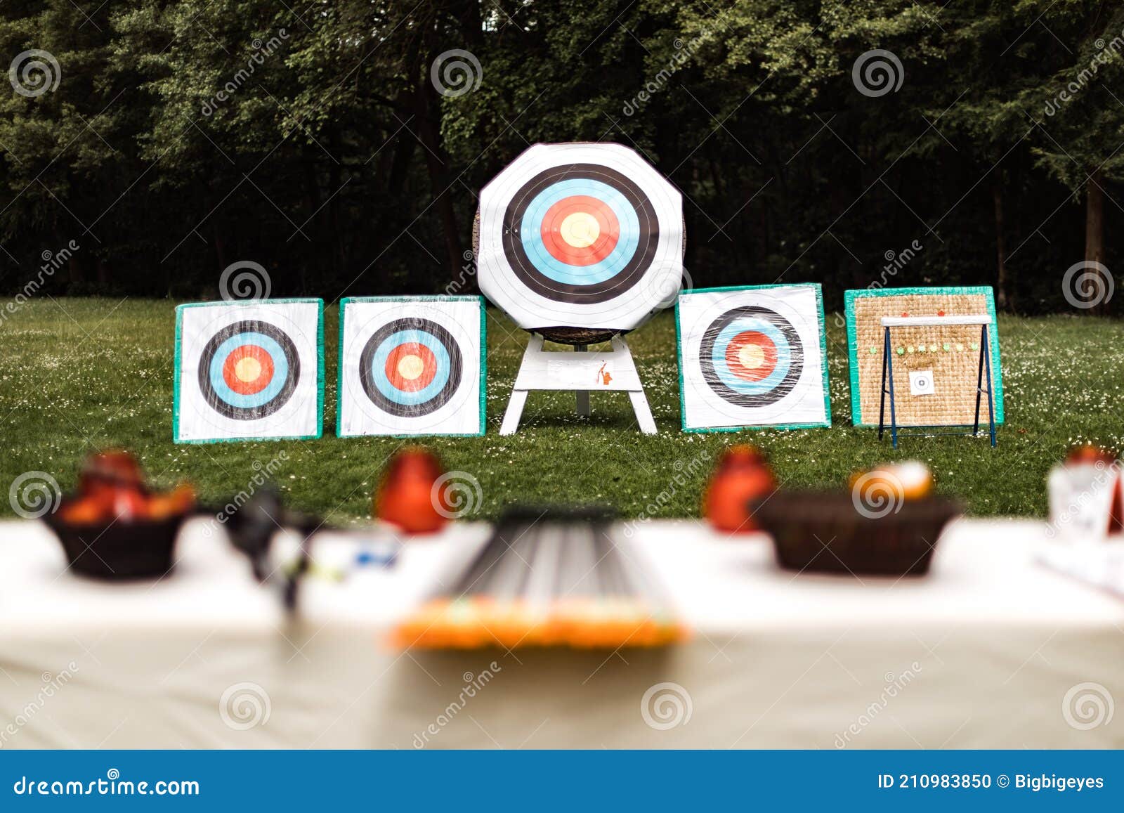 Photo of a Target Board Game in the Garden Stock Photo - Image of ...