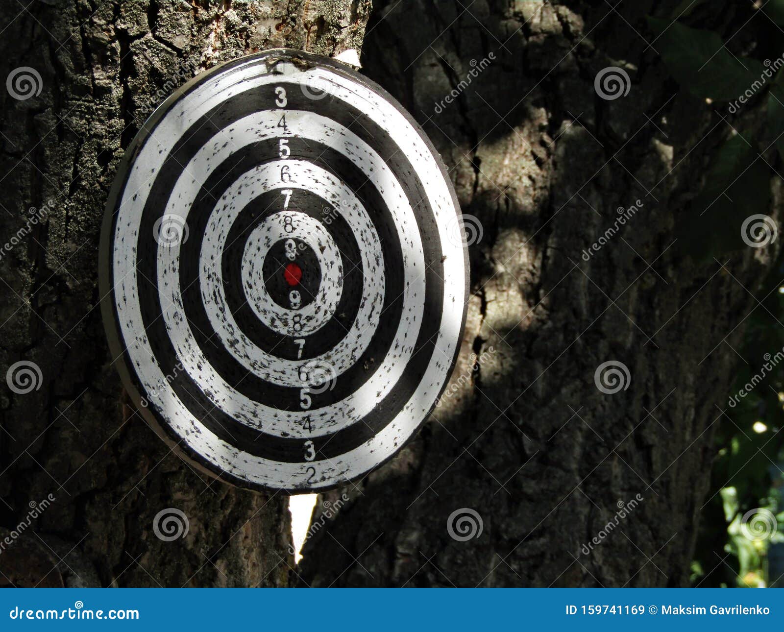 Target for darts on a tree stock image. Image of athletic - 159741169