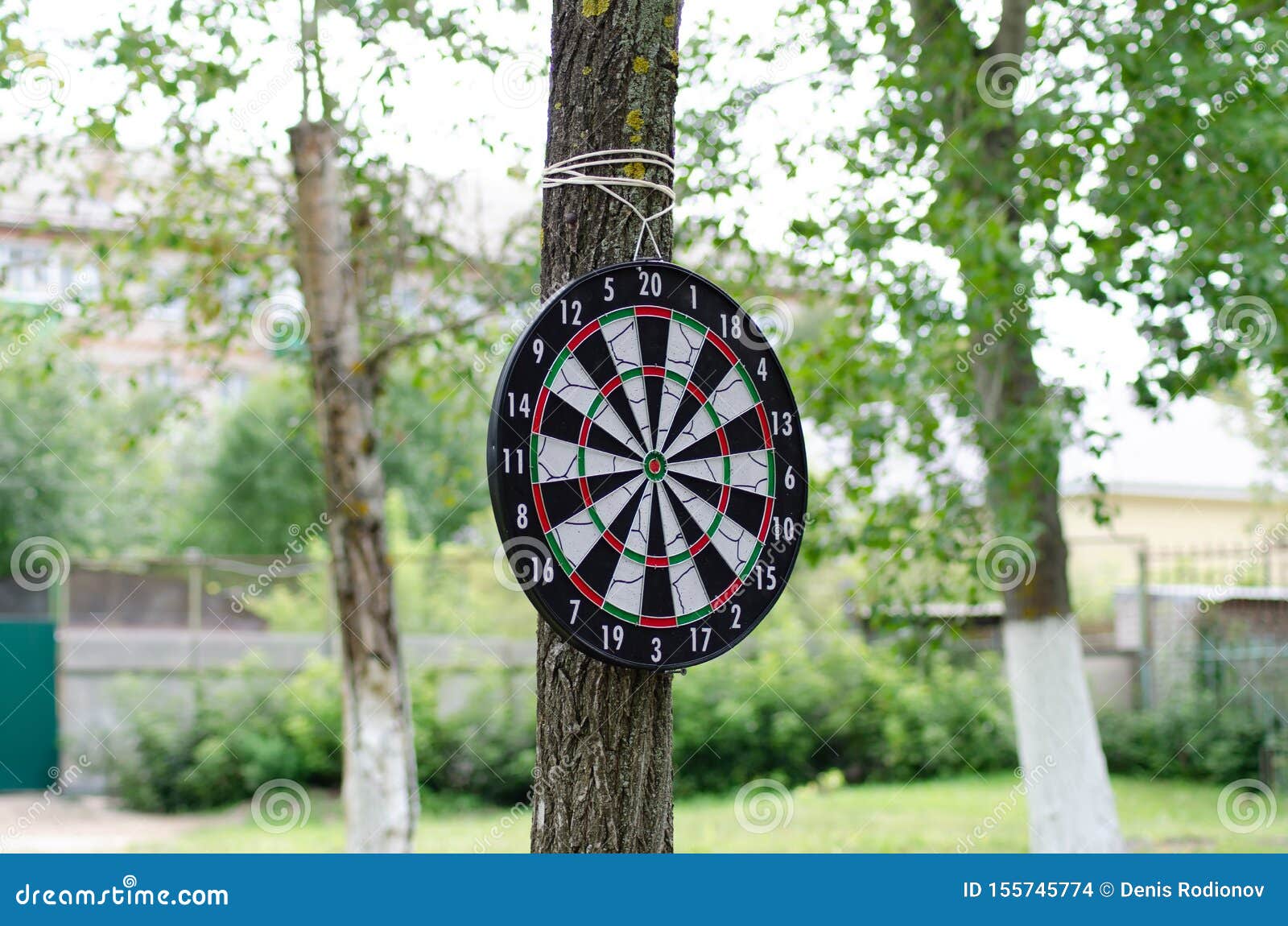 Target Darts on a Tree Summer Day Stock Photo - Image of open, healthy ...