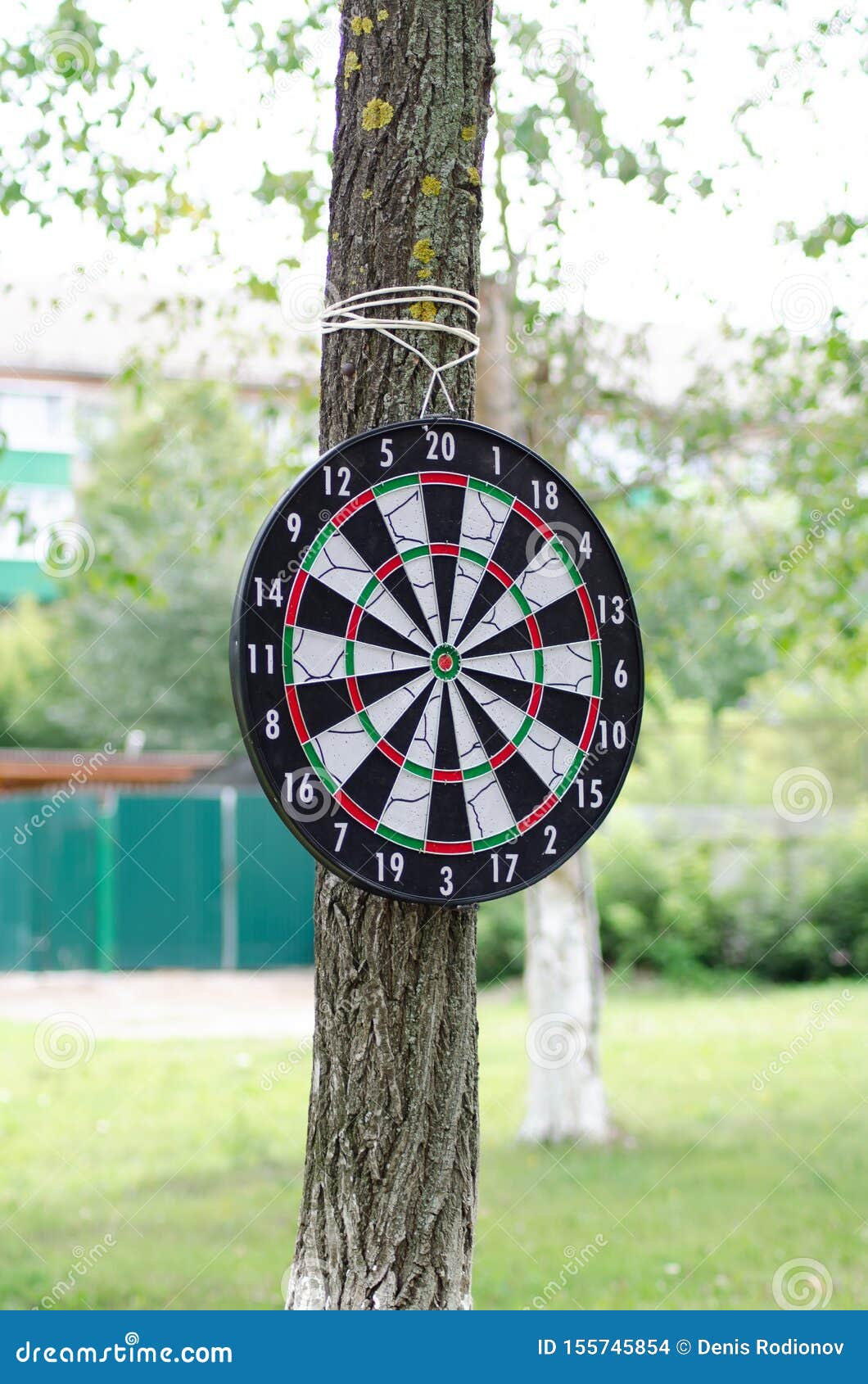 Target Darts on a Tree Summer Day Stock Photo - Image of athletic ...