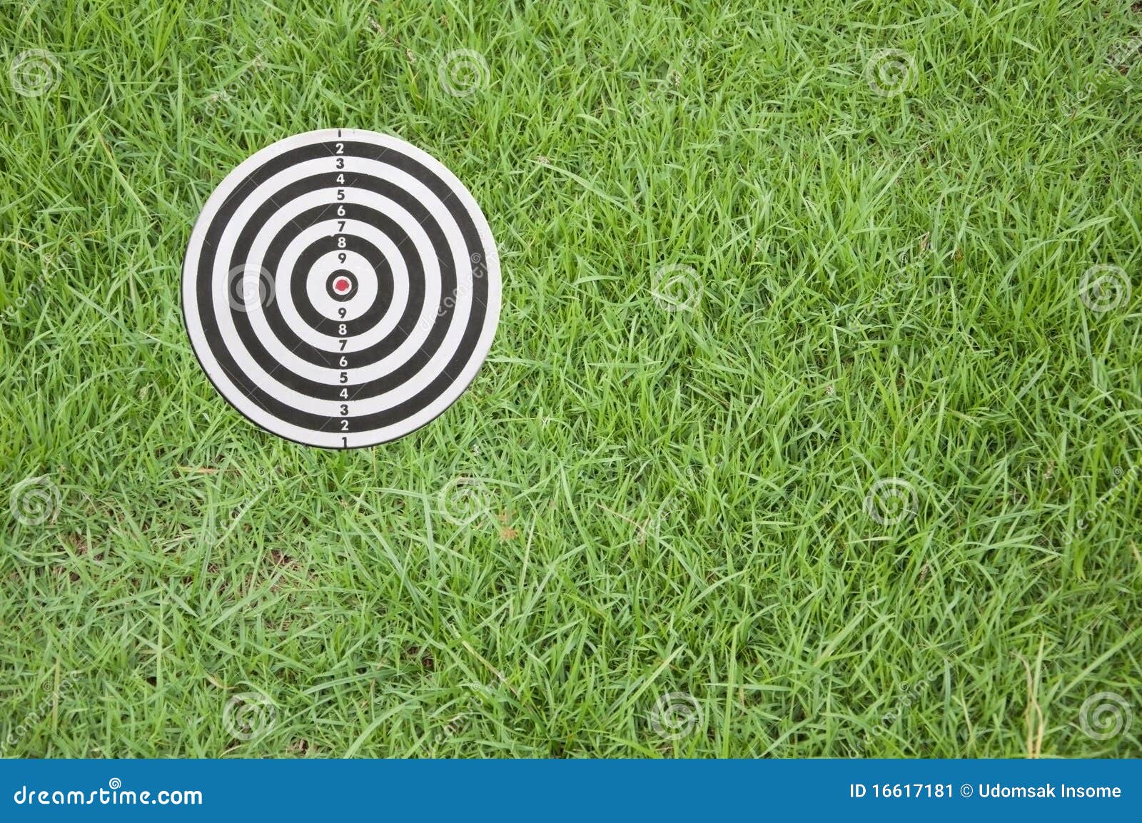 Target on green grass stock image. Image of park, board - 16617181