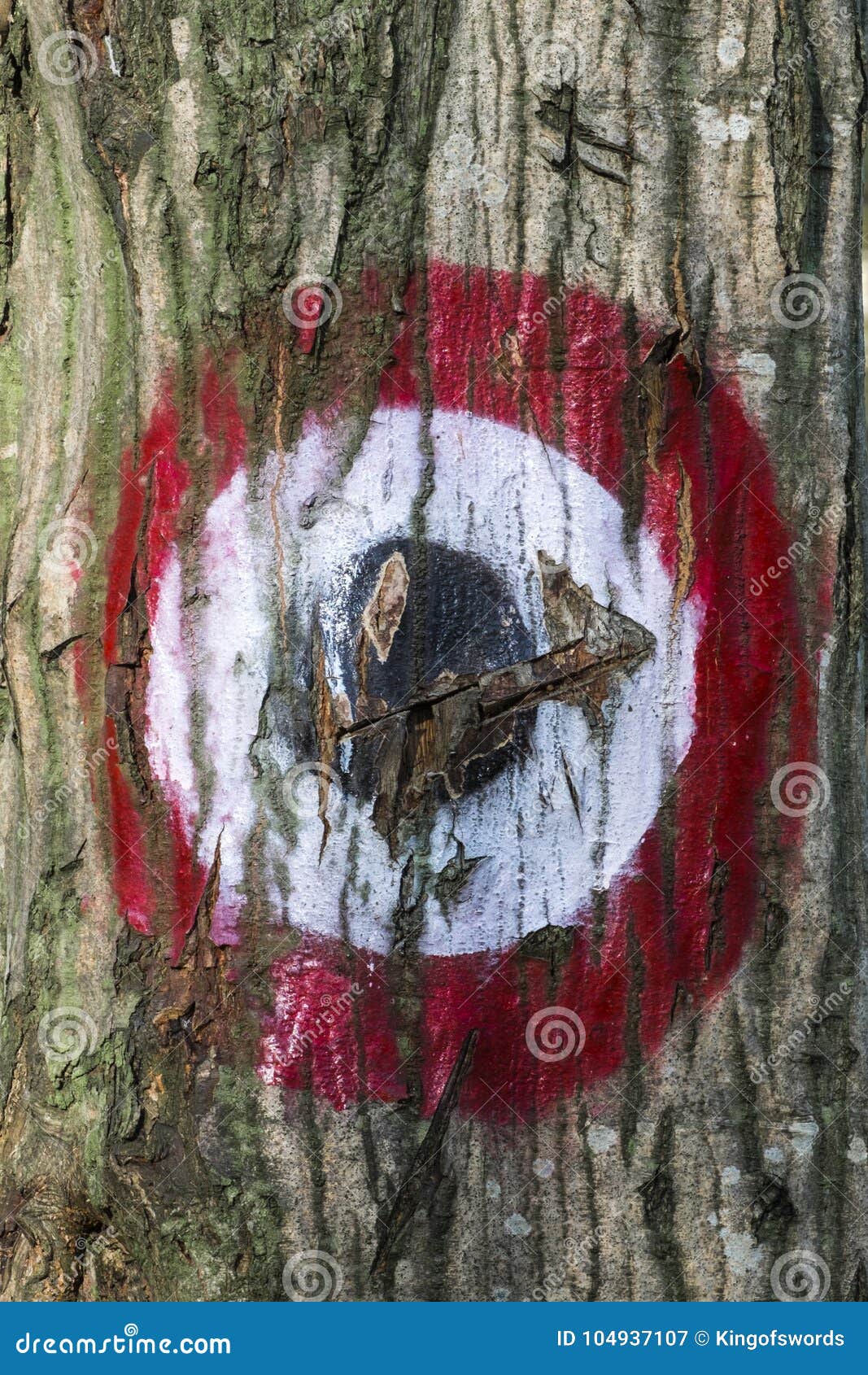 Target Tree Marks Stock Image | CartoonDealer.com #132359833