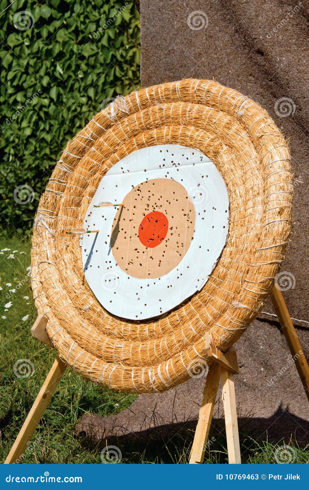 Target practice stock image. Image of summer, goal, sport - 10769463