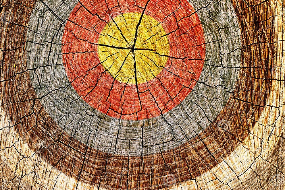 Target on tree stock photo. Image of grain, round, accuracy - 25029648