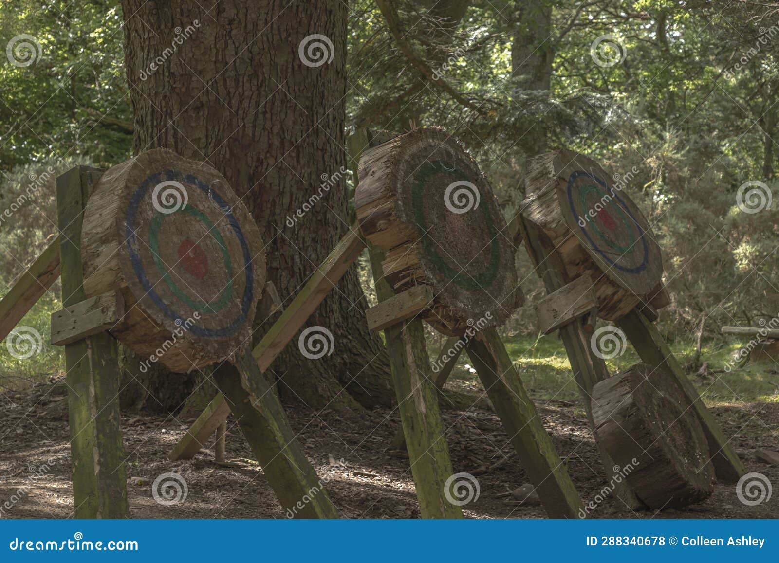 Targets that are Rough Made Used for Axe Throwing Practice Stock Photo ...