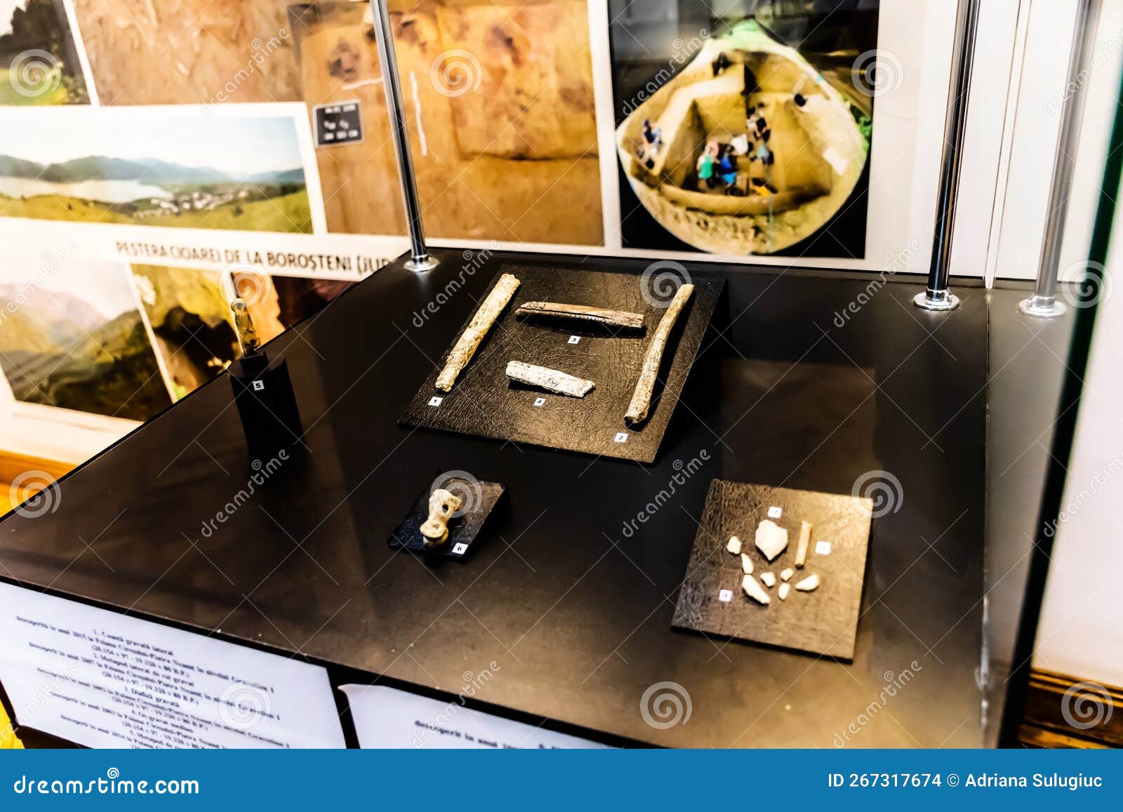 Museum of Human Evolution and Technology in the Paleolithic Editorial ...