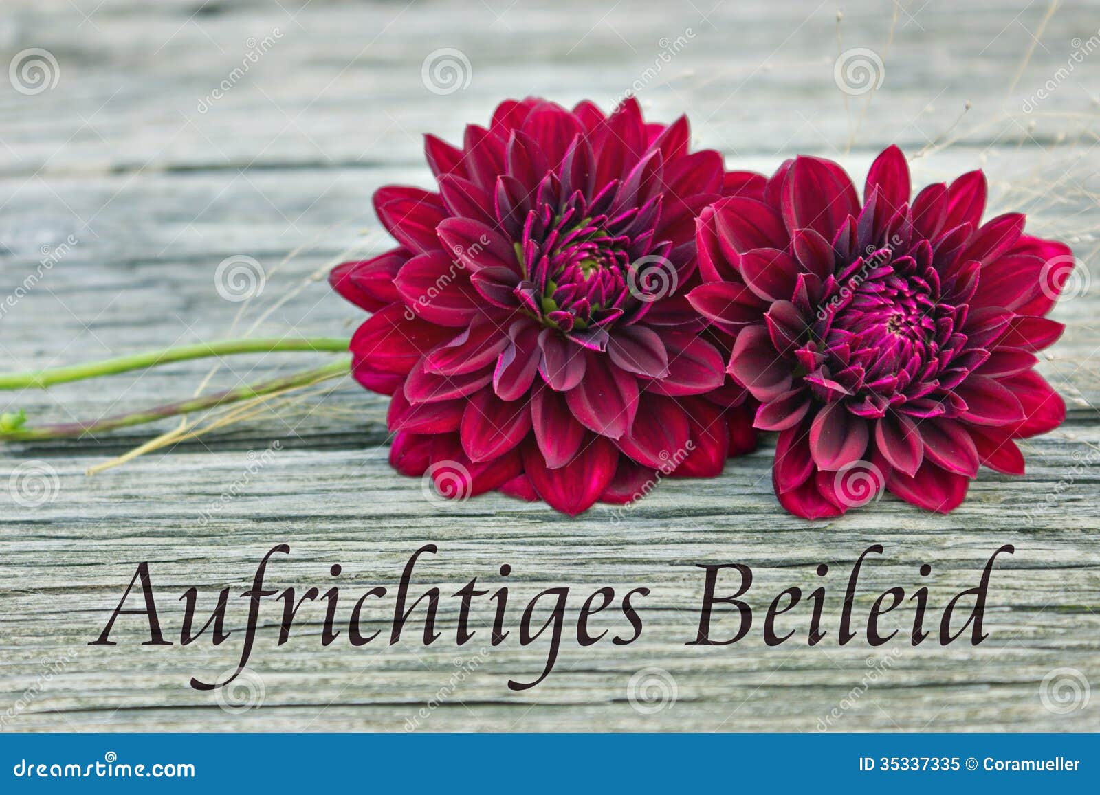 Tarjeta de luto imagen de archivo. Imagen de flores, luto - 35337335