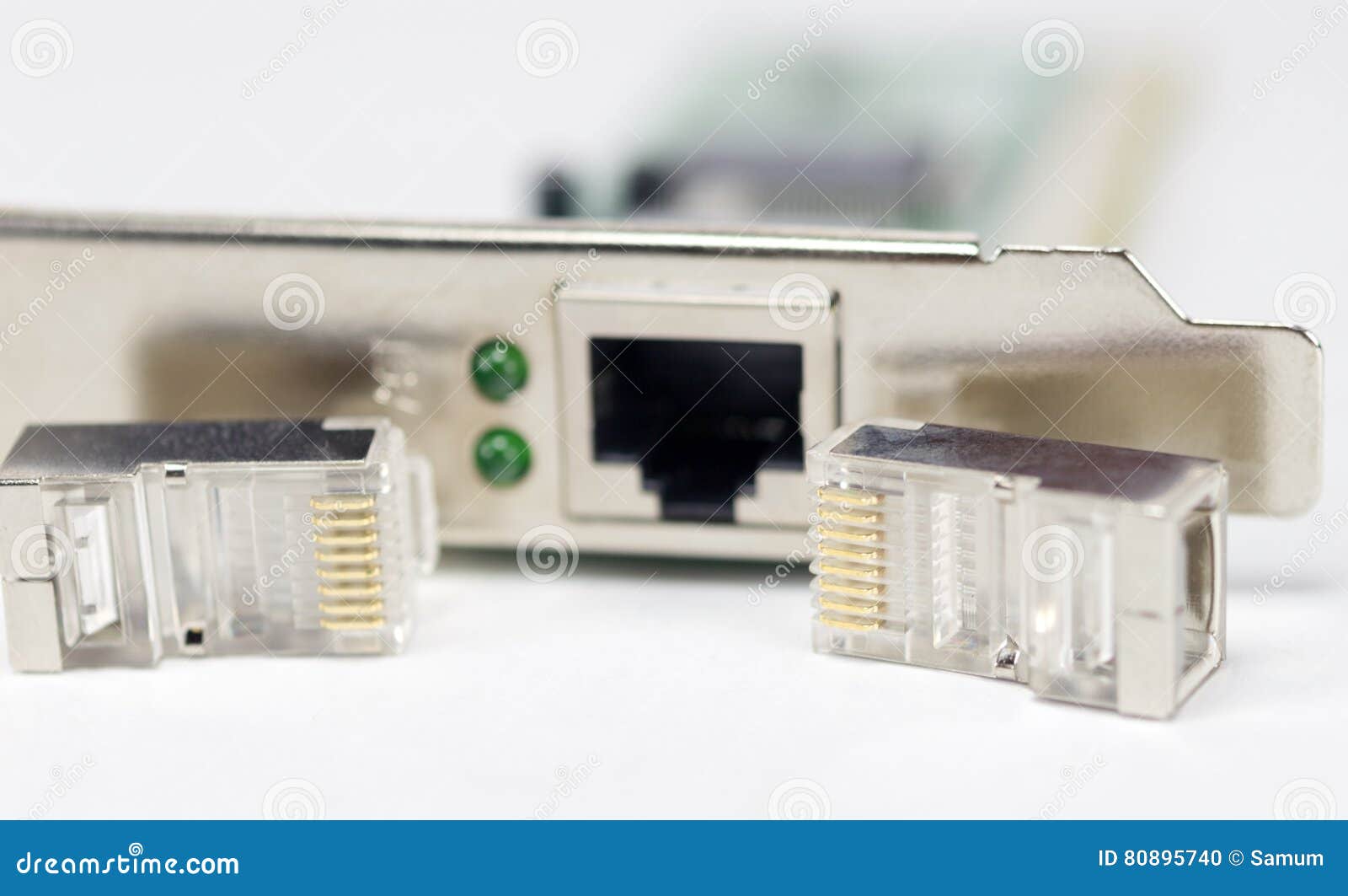 Tarjeta De Red Y Enchufe Del Cable Del Cable De La Red Foto de archivo ...