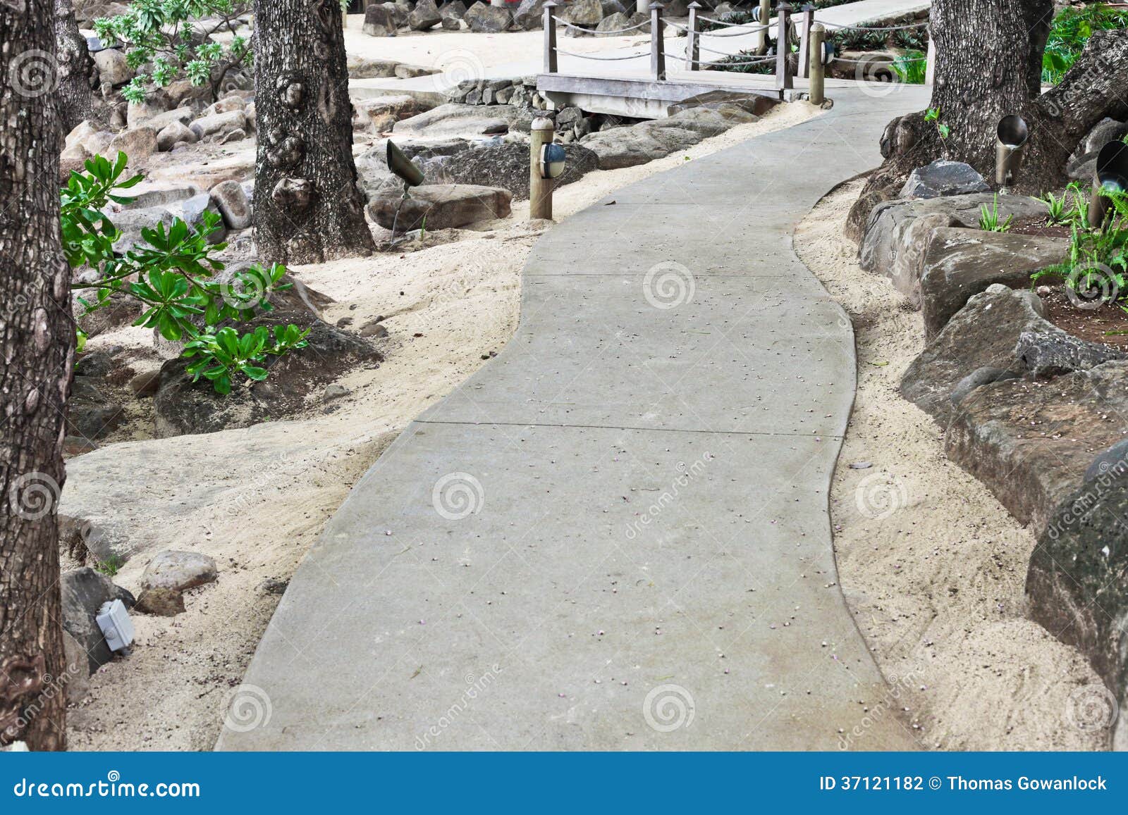 Tarmac path stock photo. Image of garden, pathway, perennial - 37121182