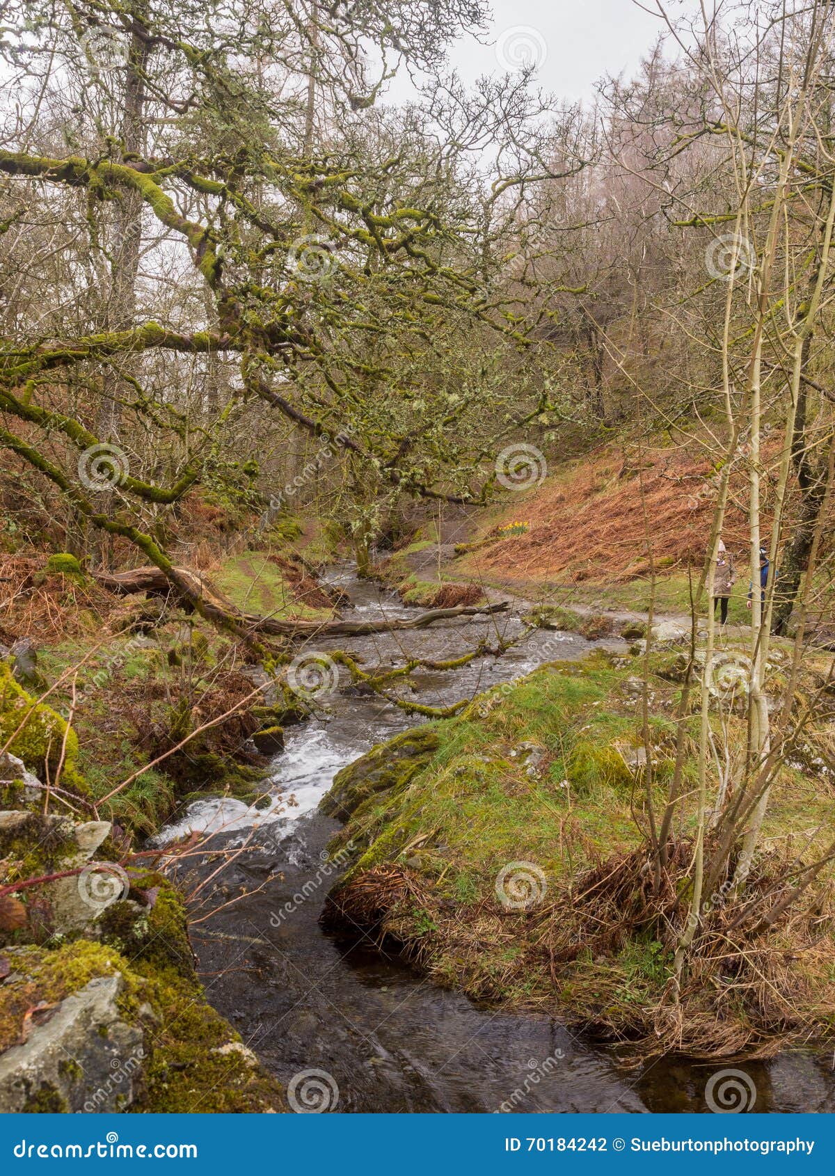 Tarn hows editorial photography. Image of autumn, spring - 70184242