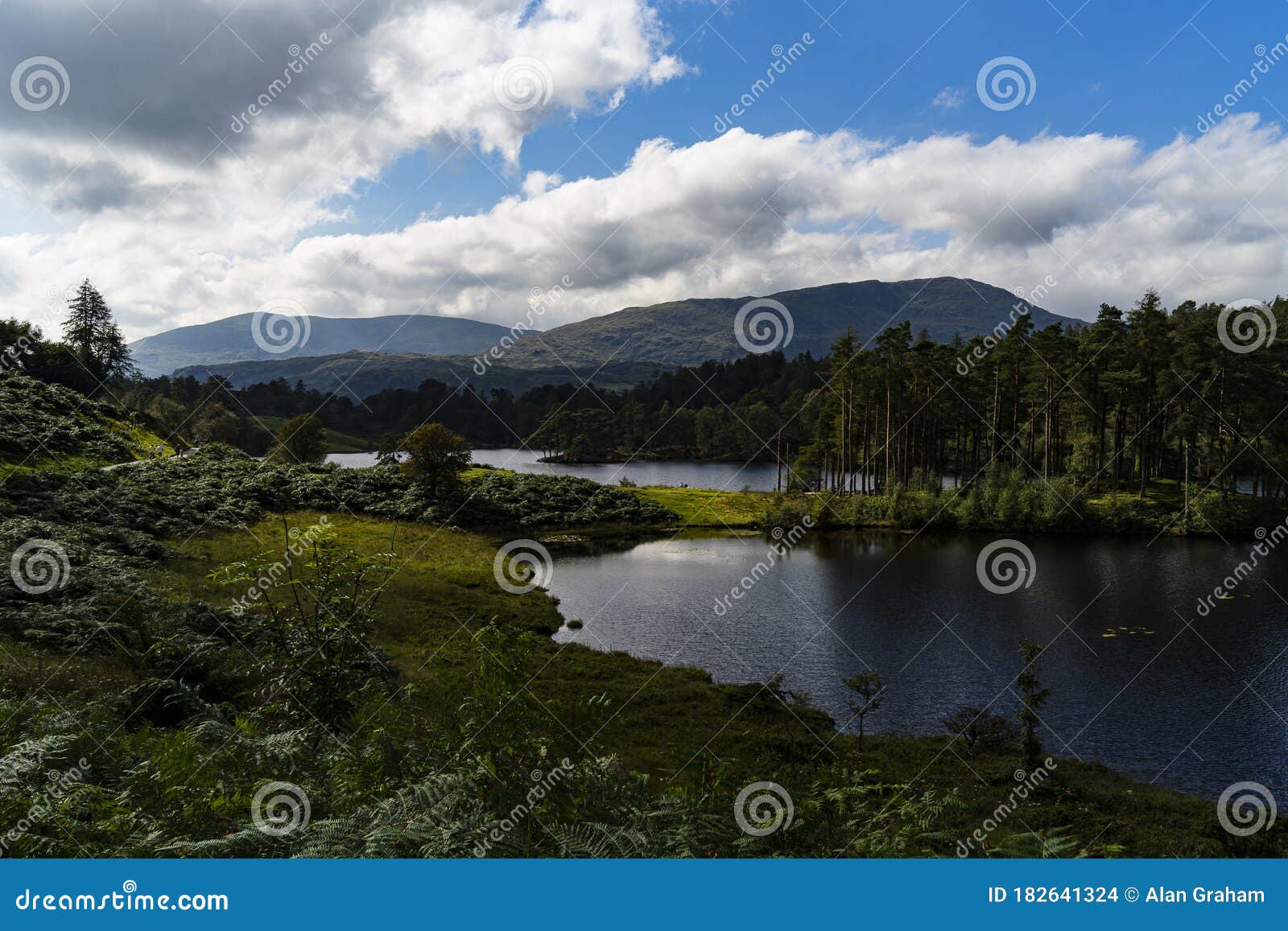 Tarn Hows in the Lake District Stock Photo - Image of walk, lake: 182641324