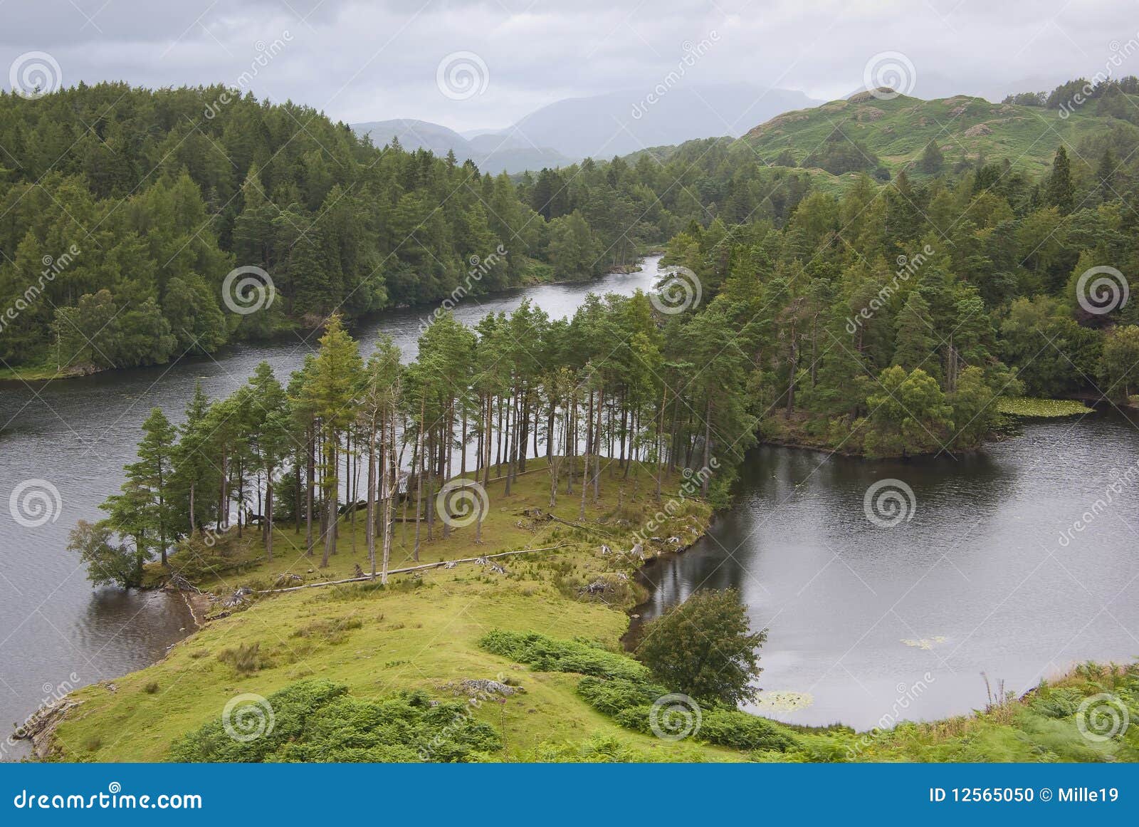 Tarn Hows in Summer stock photo. Image of district, scenic - 12565050