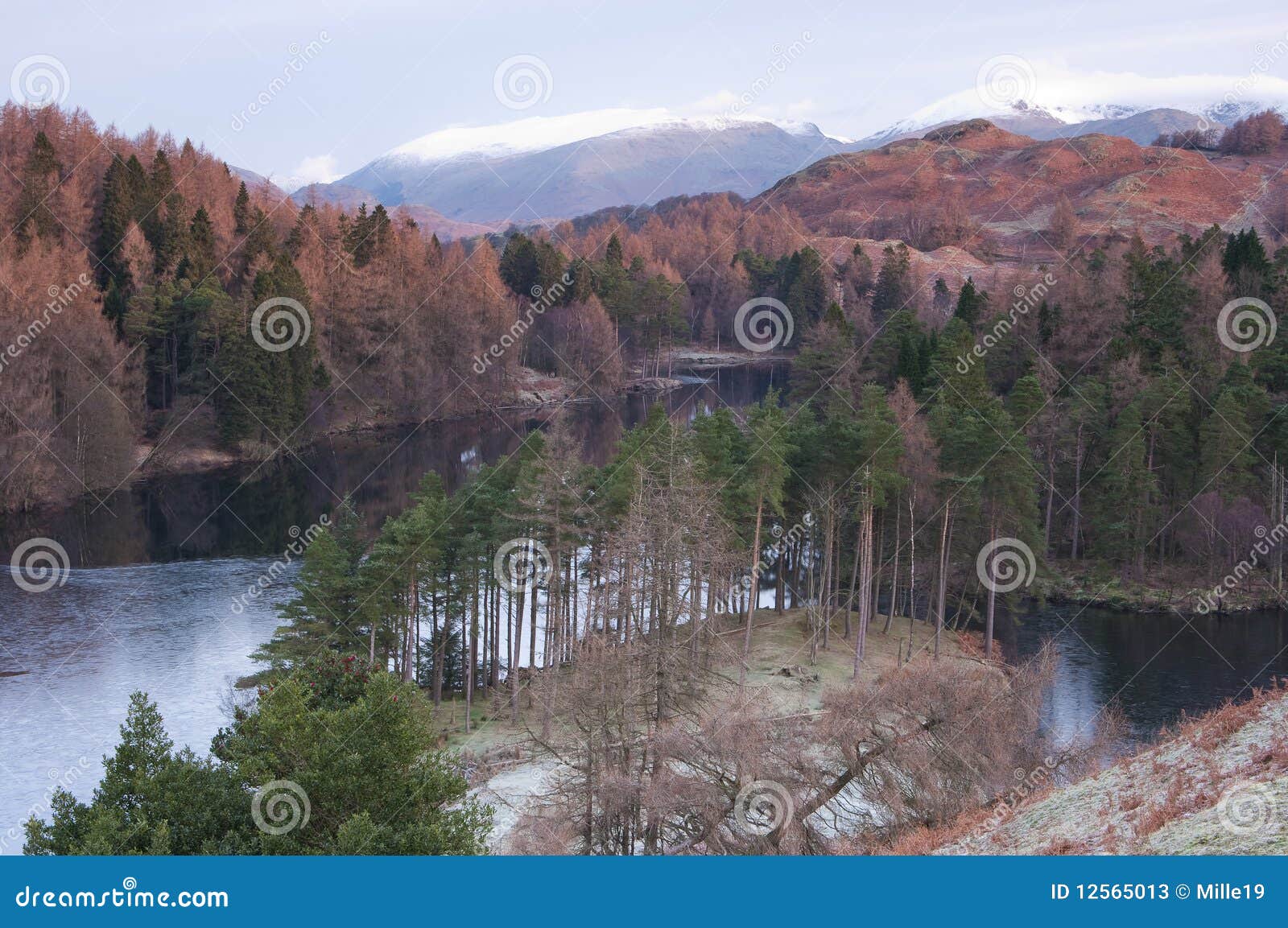 Tarn Hows in Winter stock image. Image of fells, cold - 12565013