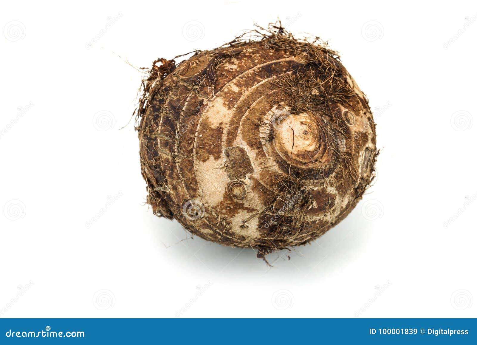 Taro imagen de archivo. Imagen de ingrediente, fruta - 100001839