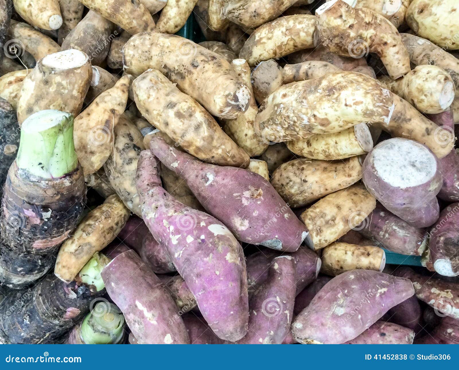 Taro and Cassava Roots stock photo. Image of flour, vietnam - 41452838