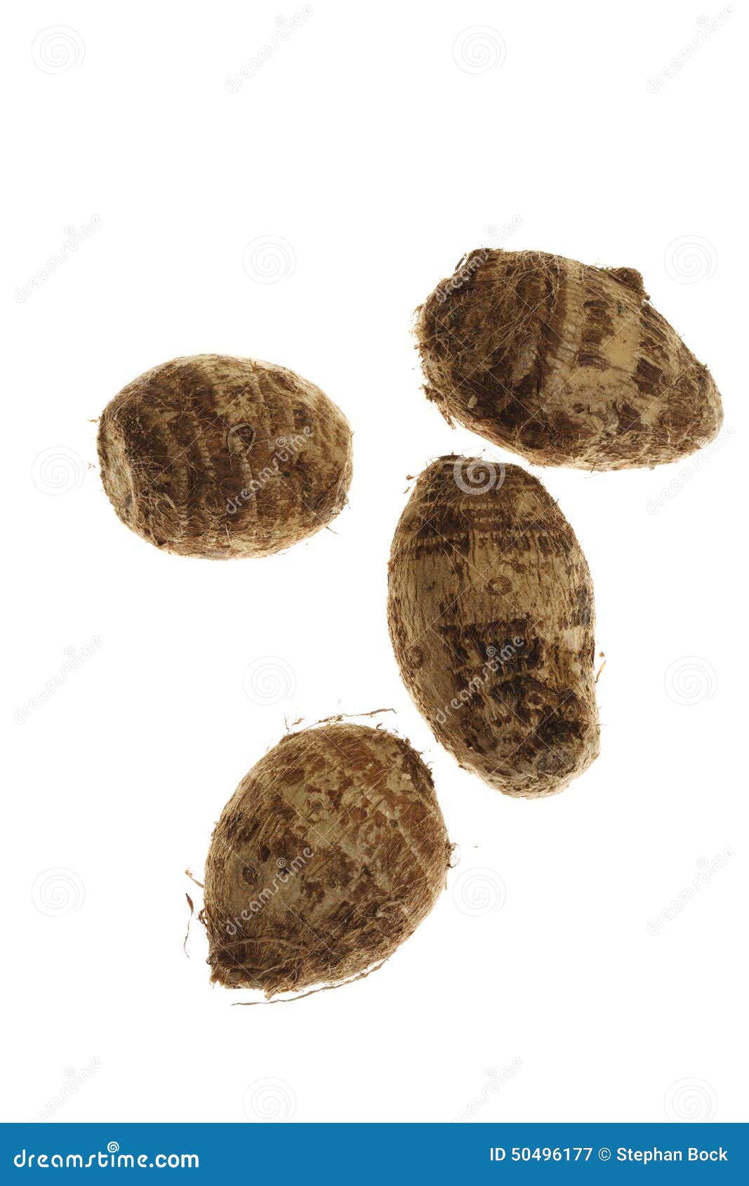 Taro corms, close-up stock image. Image of peel, organic - 50496177