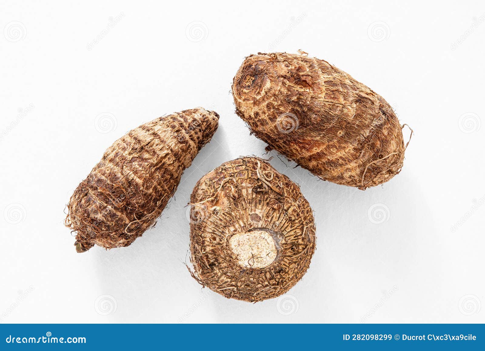 Taro or eddo root stock image. Image of healthy, isolated - 282098299