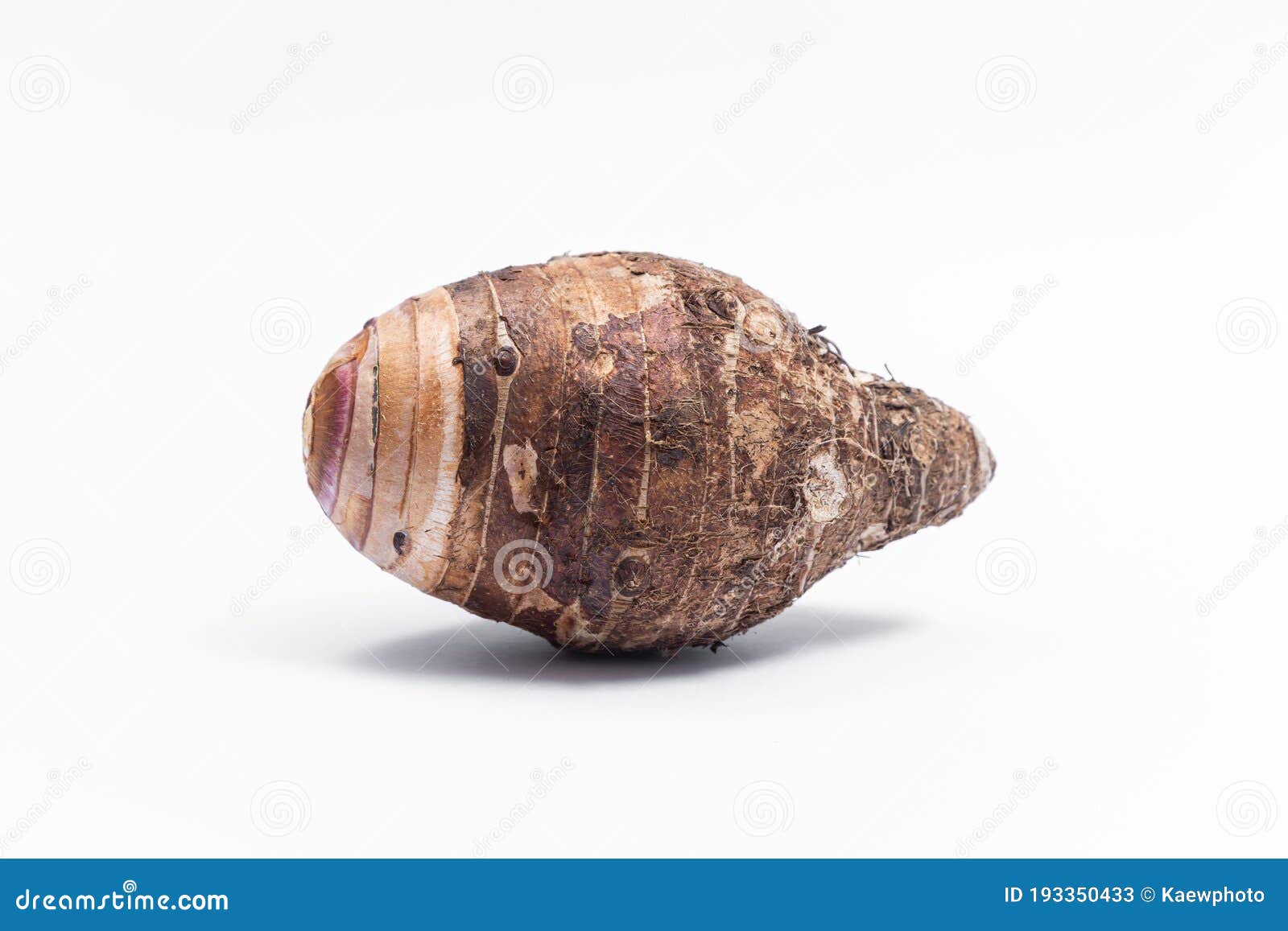 Taro Fruit that Has Not Been Peeled Separately Stock Image - Image of ...