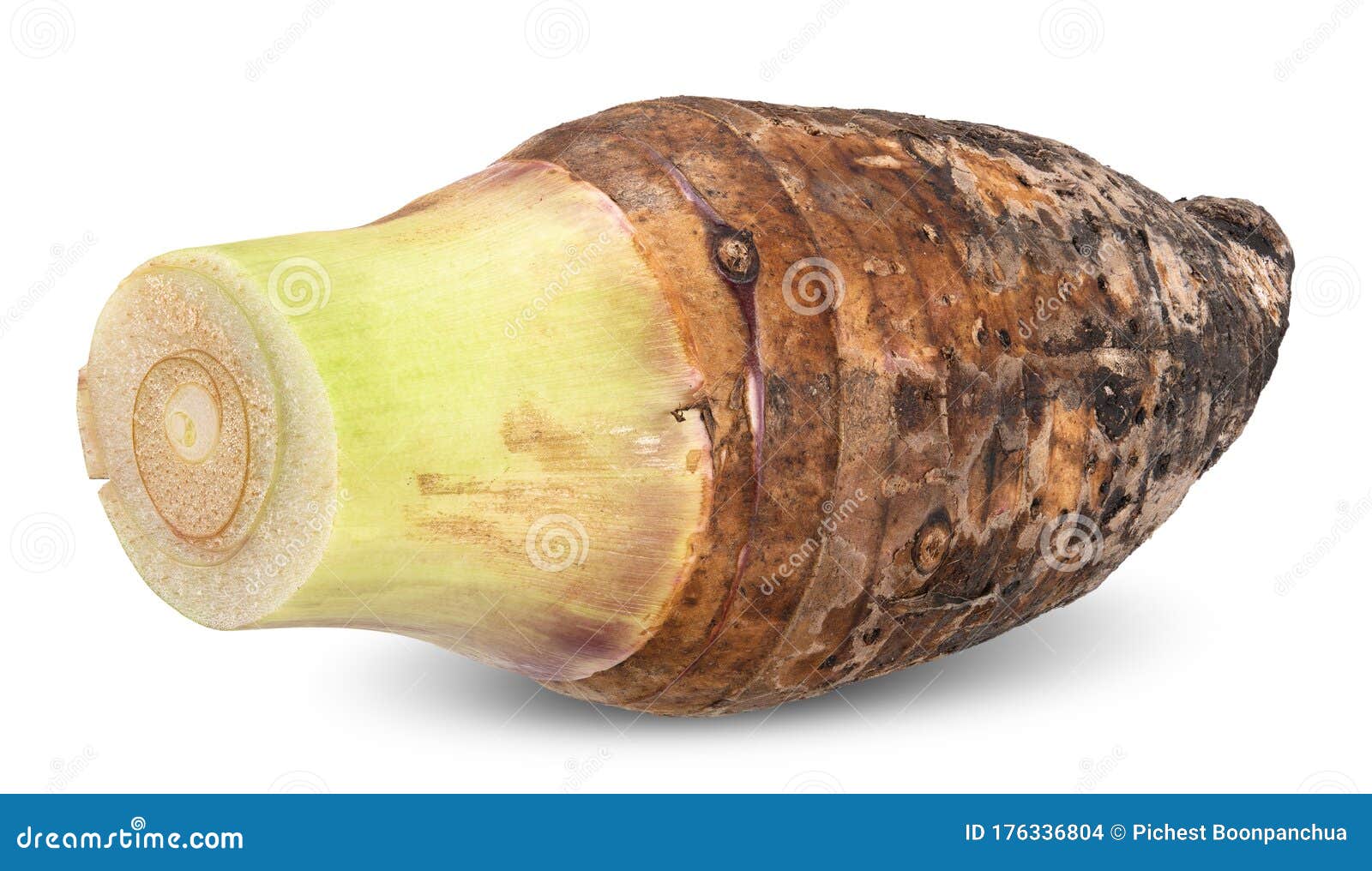 Taro Fruit Isolated on White Clipping Path Stock Photo - Image of ...