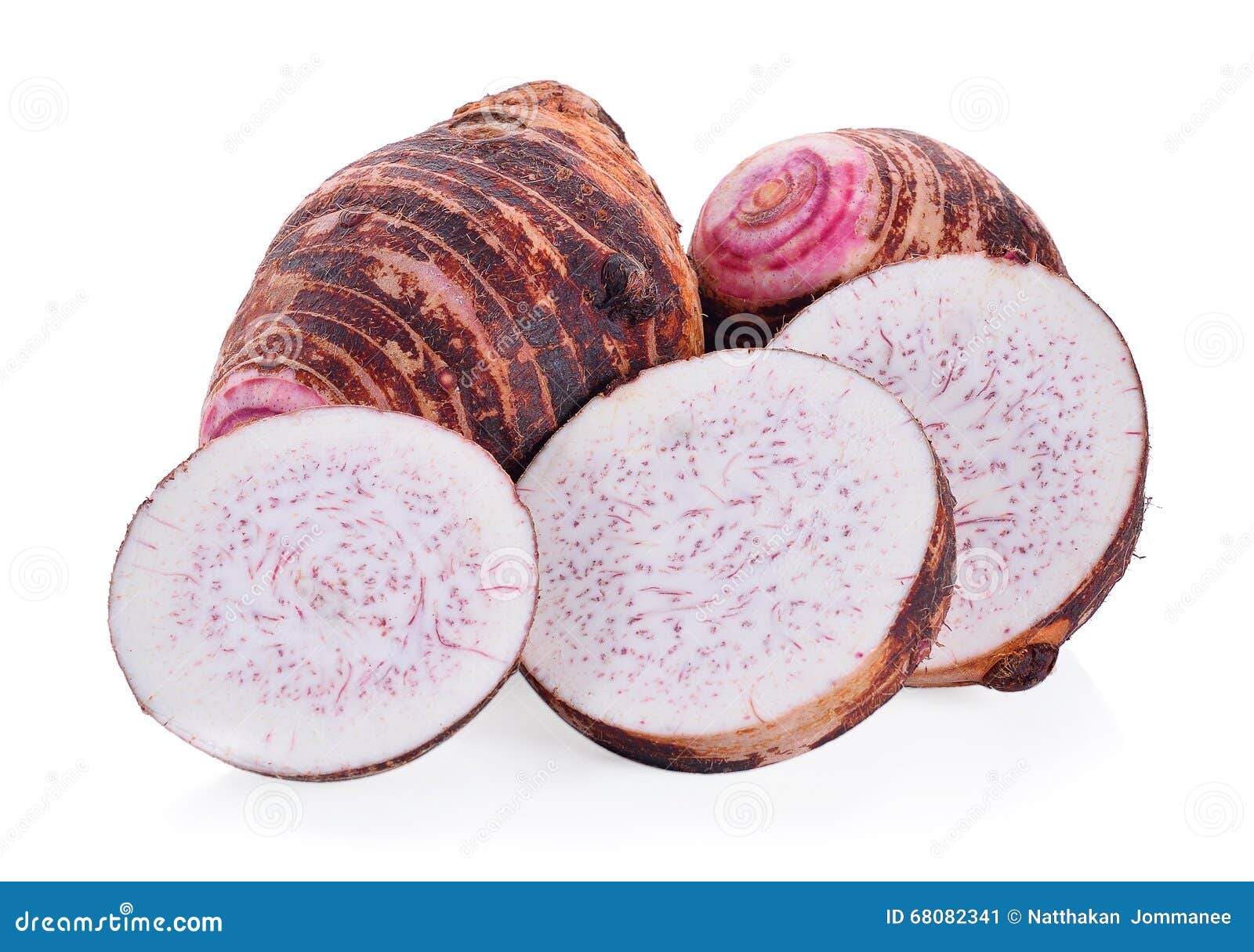 Taro Royalty-Free Stock Photography | CartoonDealer.com #50200829