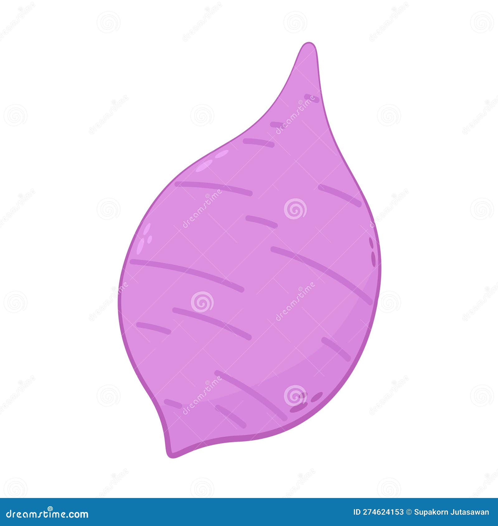 Taro Isolated on White Background. Stock Vector - Illustration of ...