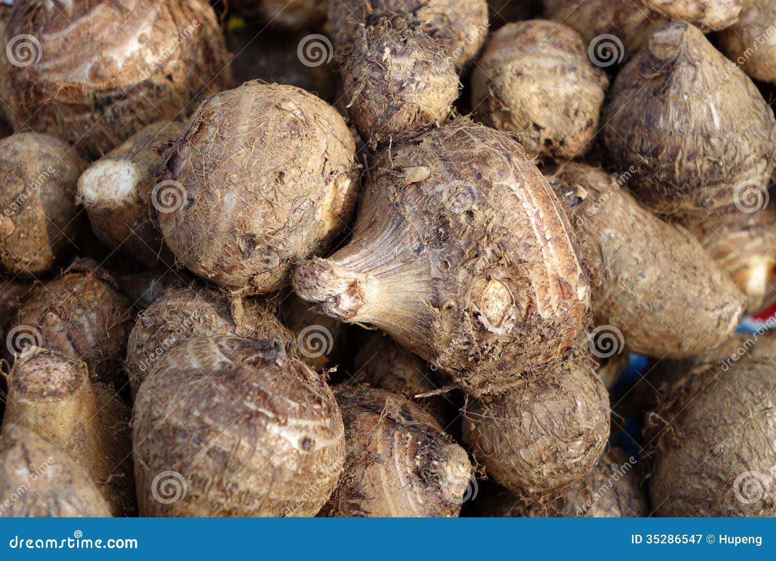Taro stock image. Image of agriculture, feed, ingredient - 35286547