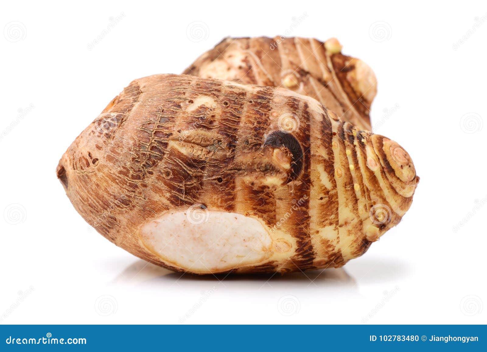 Taro Root stock foto. Image of gezond, aanplant, rijp - 102783480