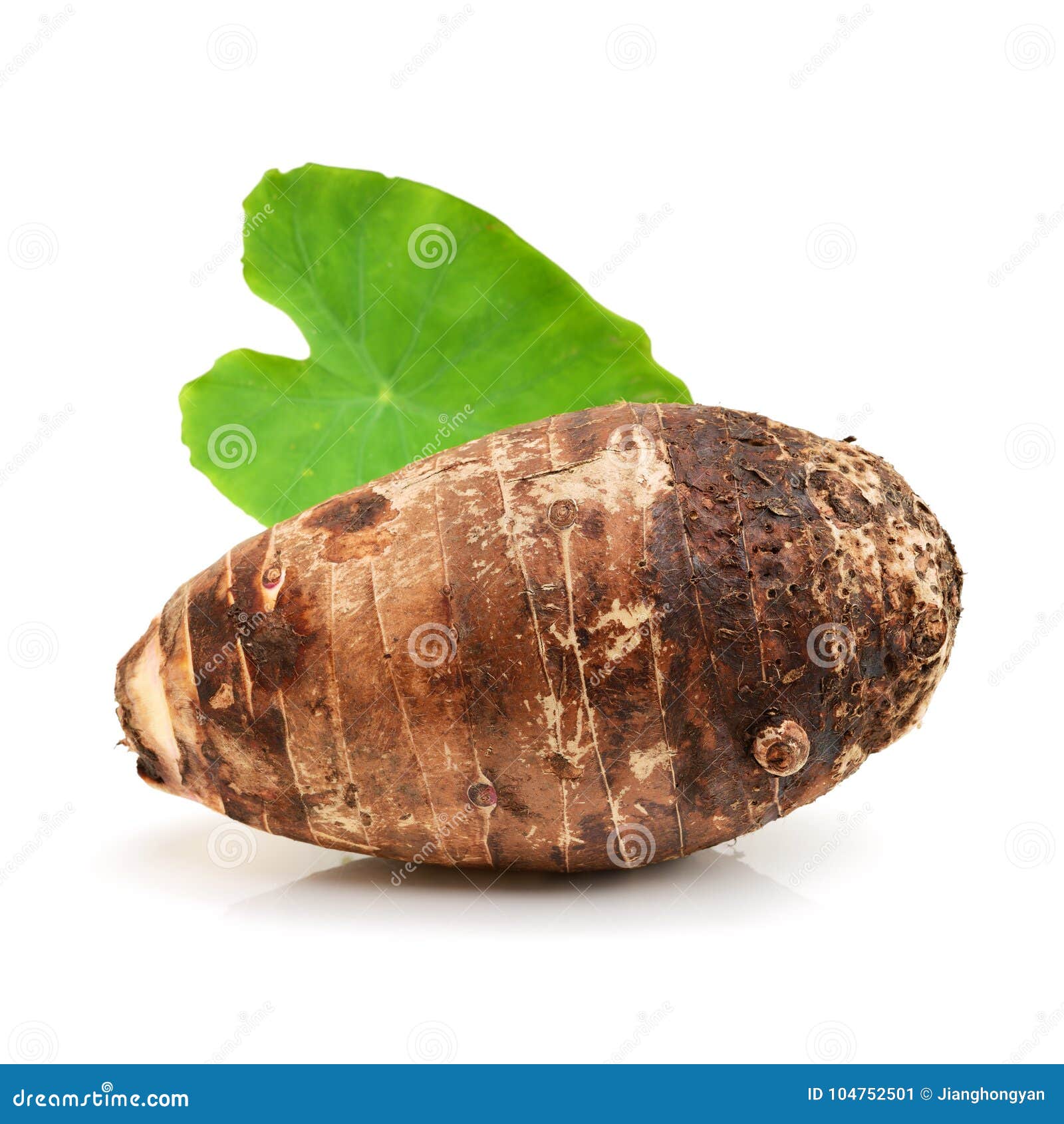 Taro Root stock afbeelding. Image of voedsel, secties - 104752501
