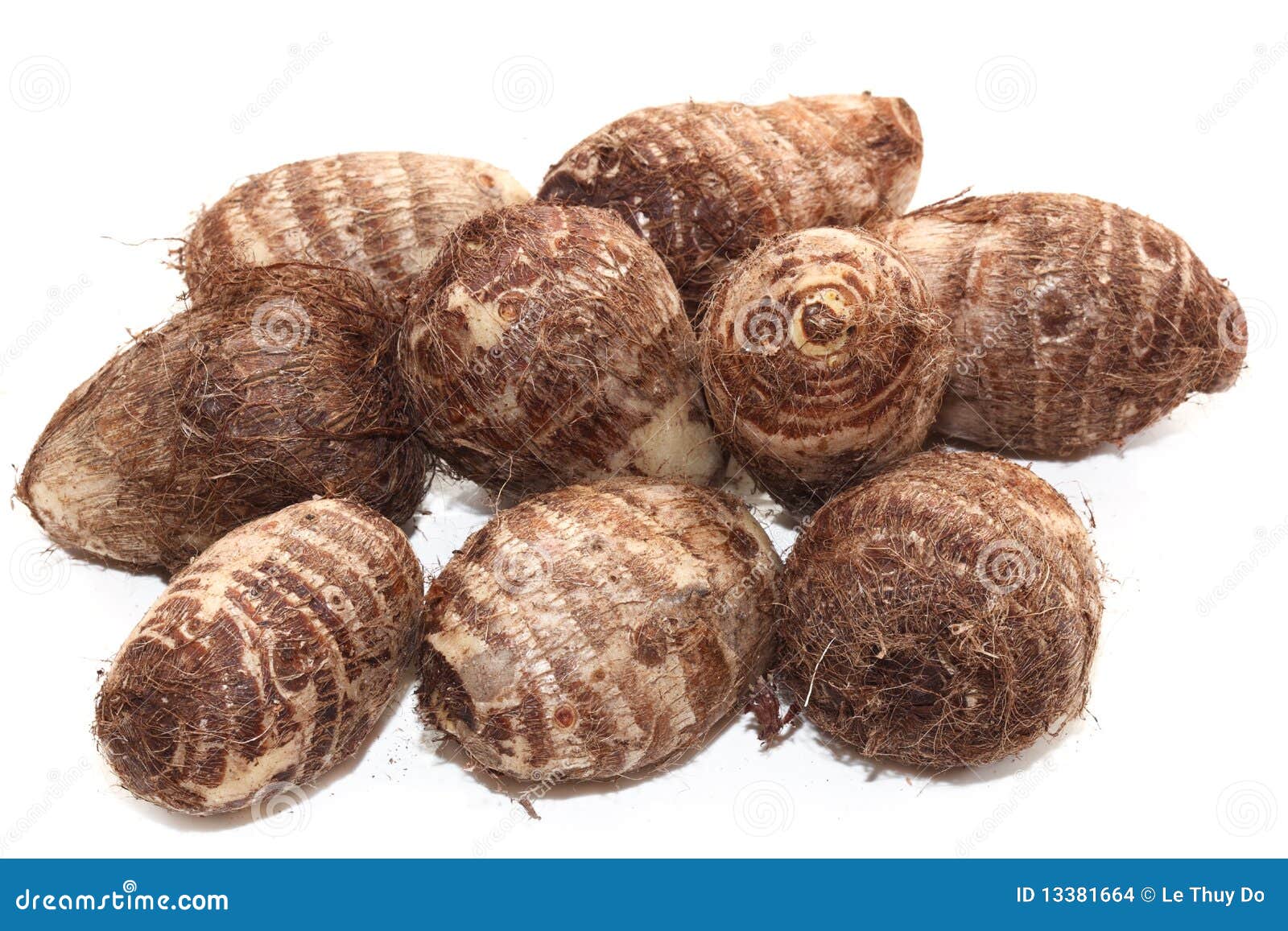 Taro root stock photo. Image of asian, arrowroot, root - 13381664