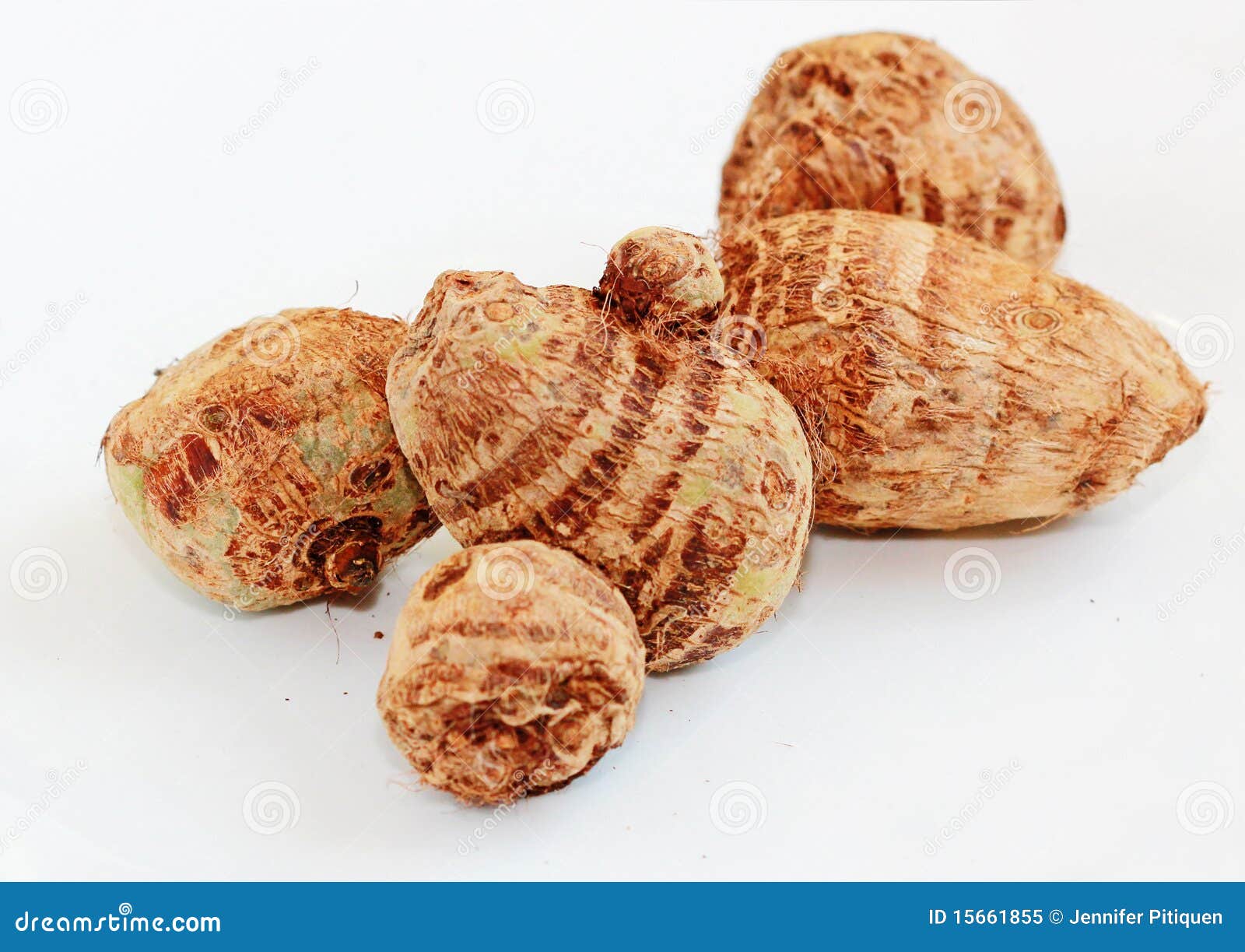 Taro Root stock image. Image of taro, tropical, root - 15661855