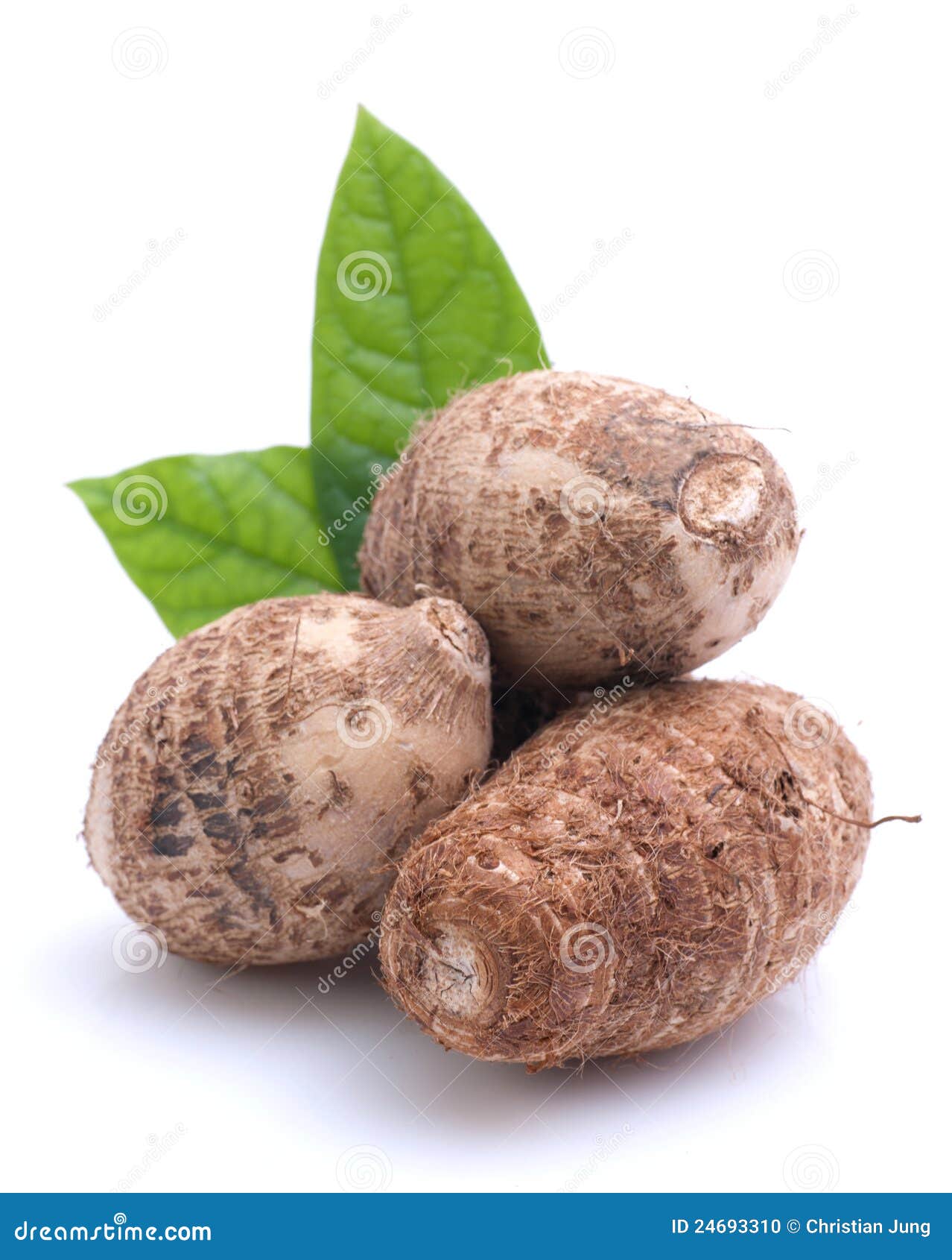Taro root stock photo. Image of fruit, taro, plant, fixings - 24693310