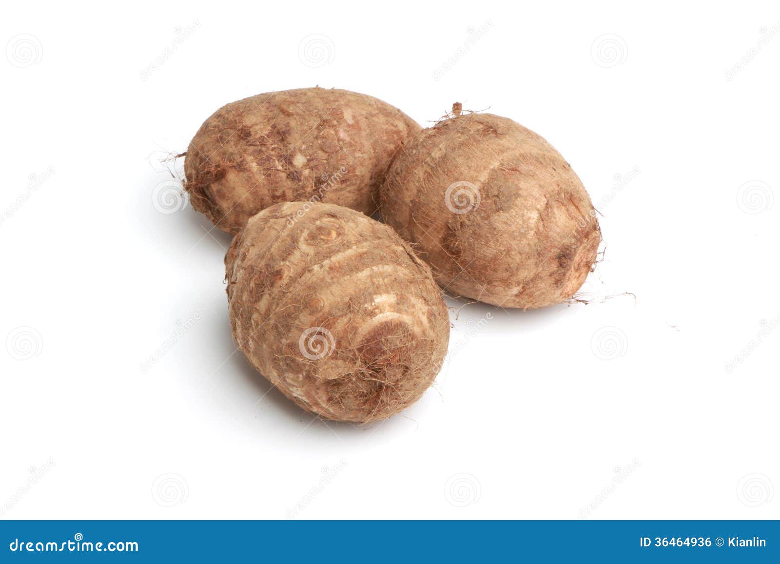 Taro Root fotografia stock. Immagine di igname, cinese - 36464936