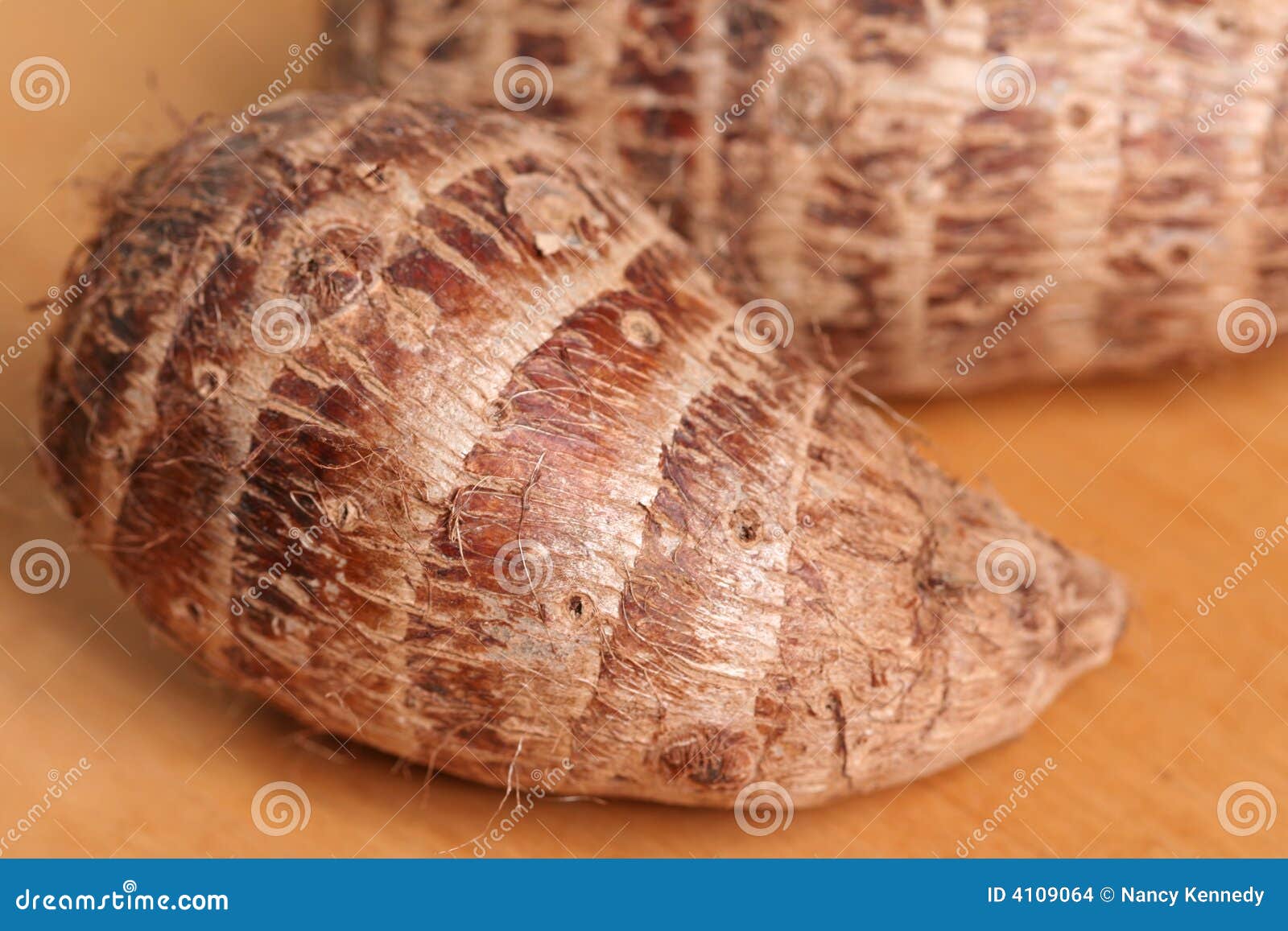 Taro Root stock photo. Image of food, tropical, close - 4109064