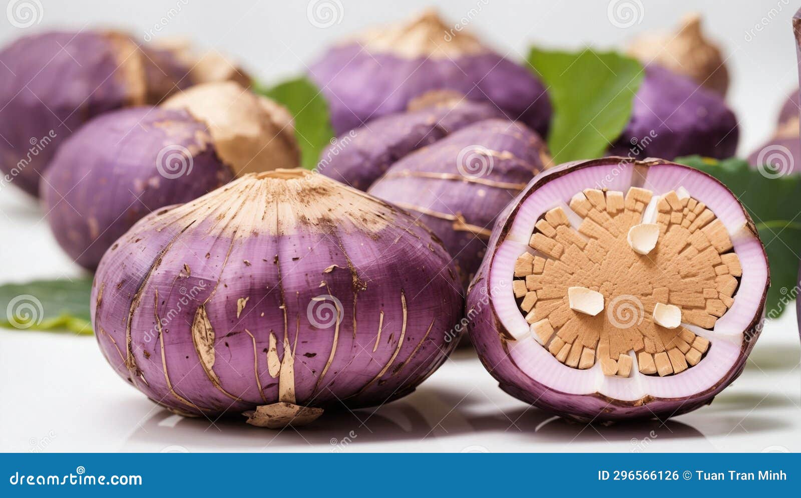 Taro root , stock photo. Image of lavender, fresh, organ - 296566126