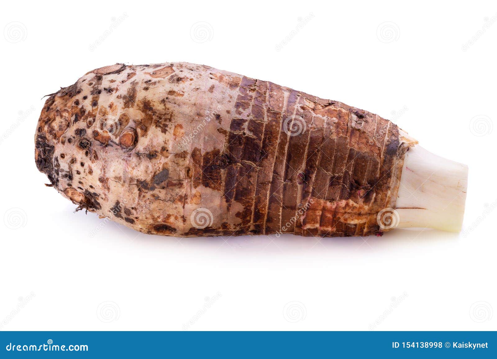 Taro Root Isolated on a White Background Stock Photo - Image of food ...