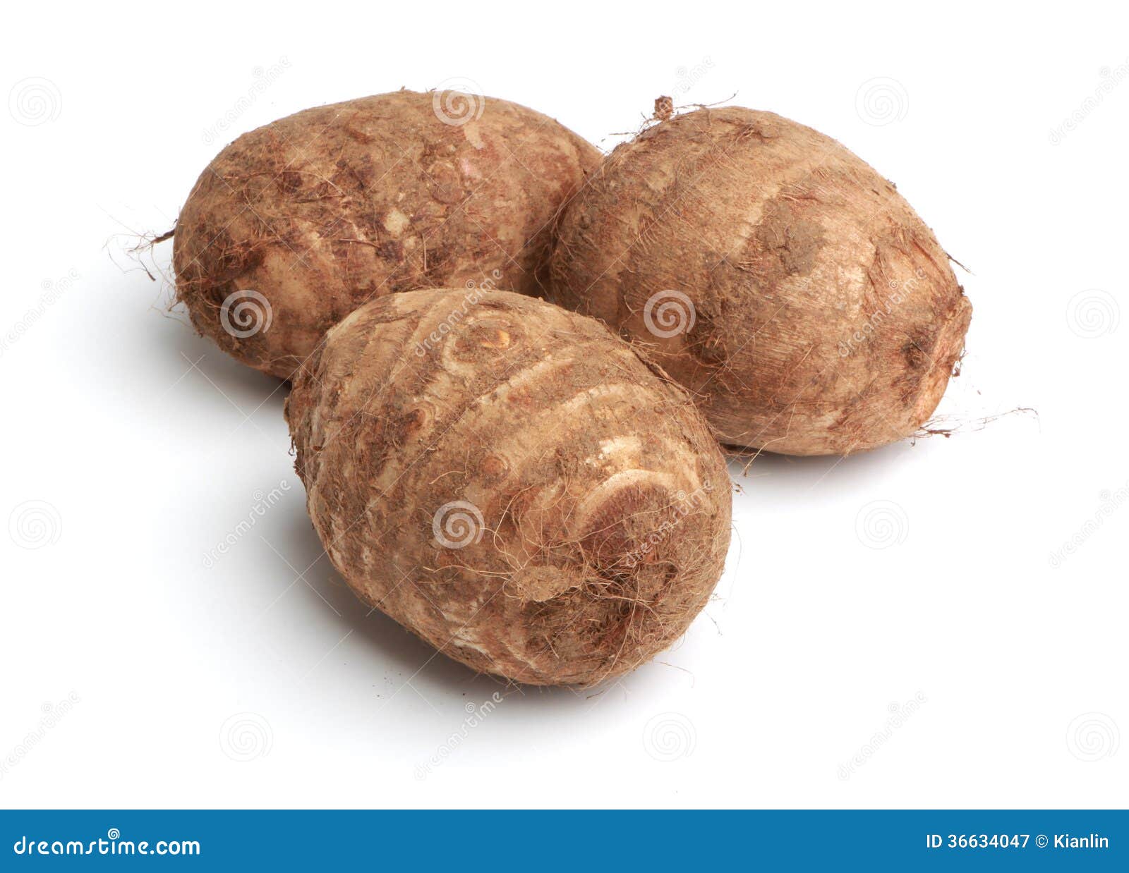 Taro Root stock image. Image of brown, corm, tropical - 36634047