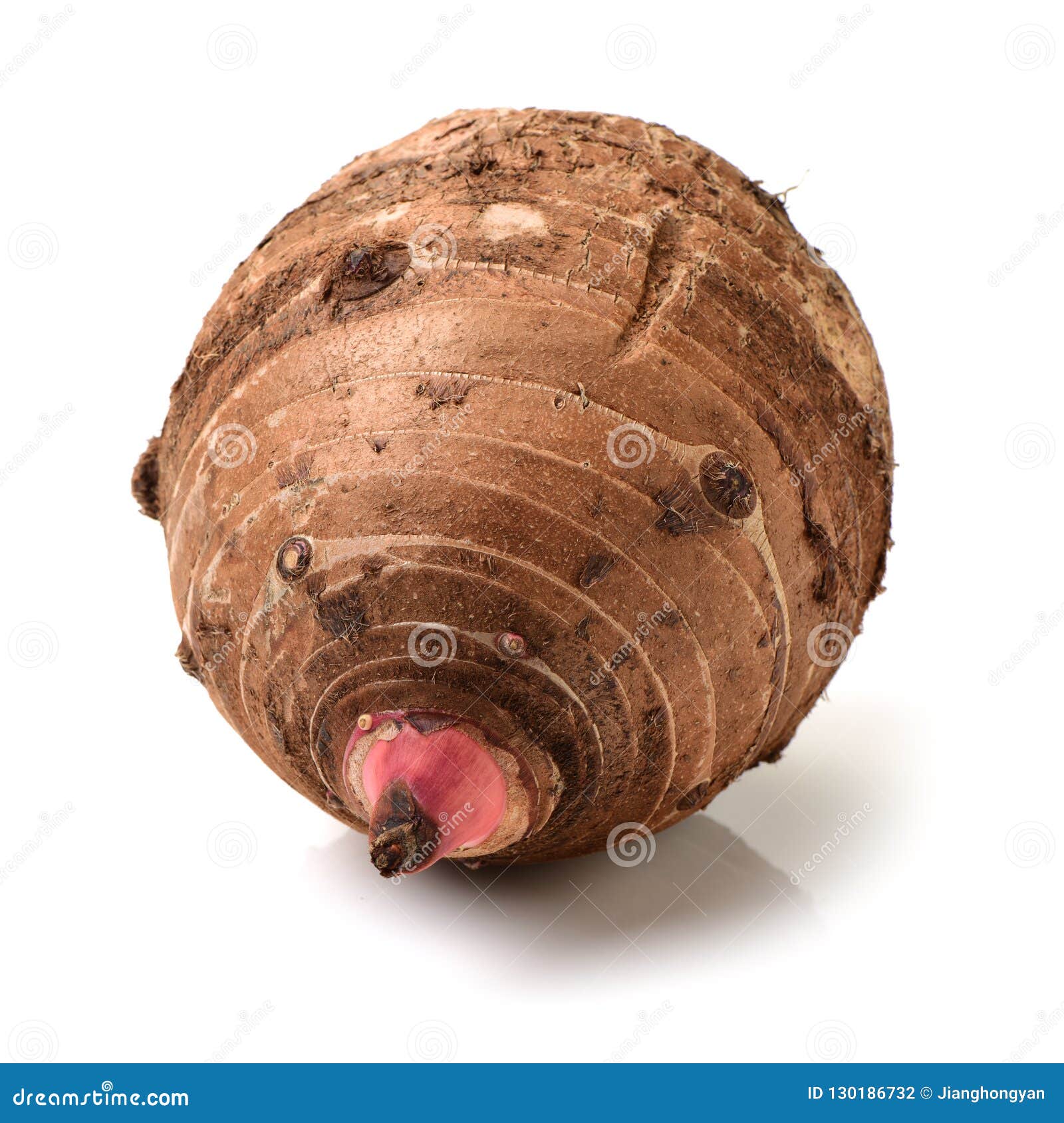 Taro root stock photo. Image of healthy, fruit, asian - 130186732