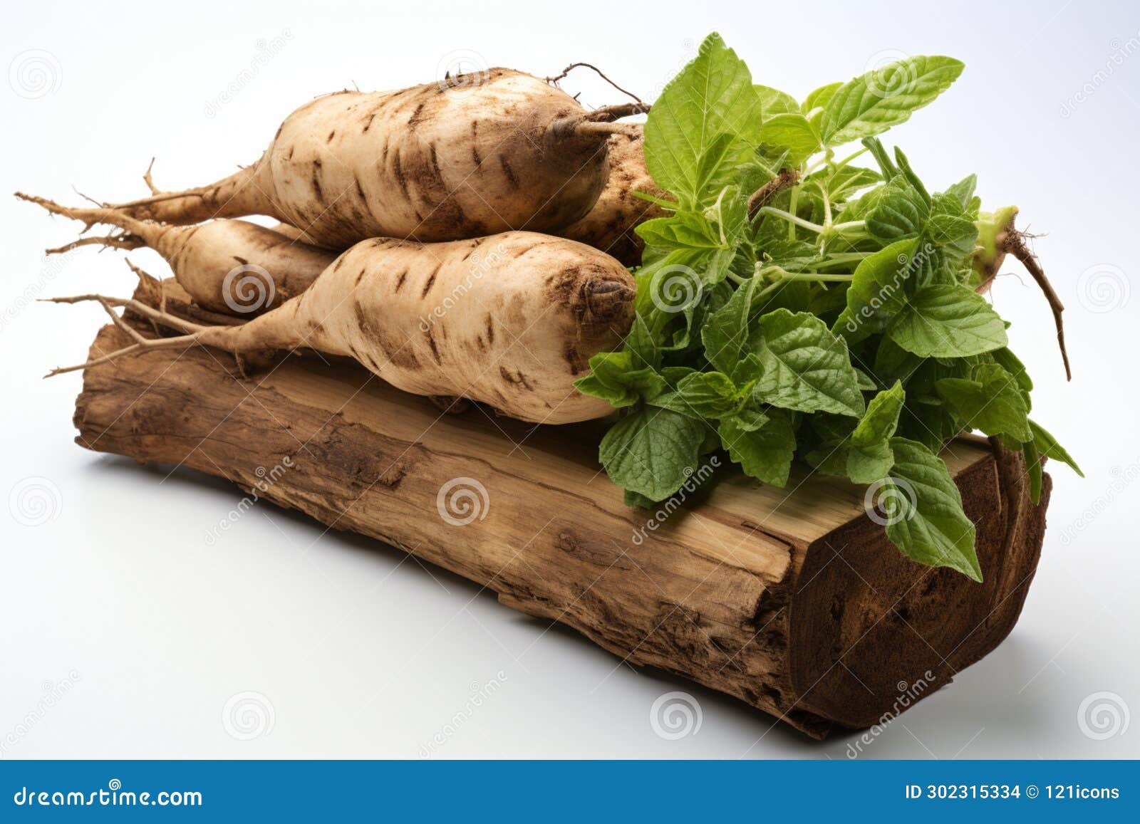 Taro Root, Leaf And Slices. Colocasia Esculenta. Hand Draw Sketch ...