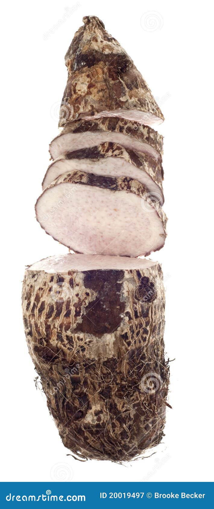 Taro Root Yam Vegetable stock image. Image of oriental - 20019497